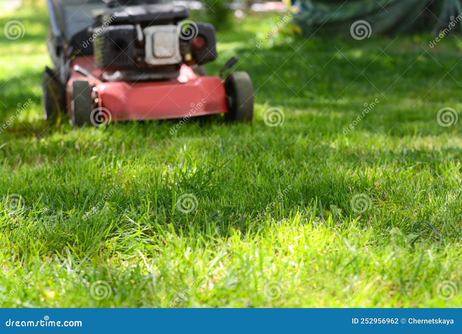 Modern Garden Lawn Mower Cutting Green Grass Outdoors Stock Photo ...