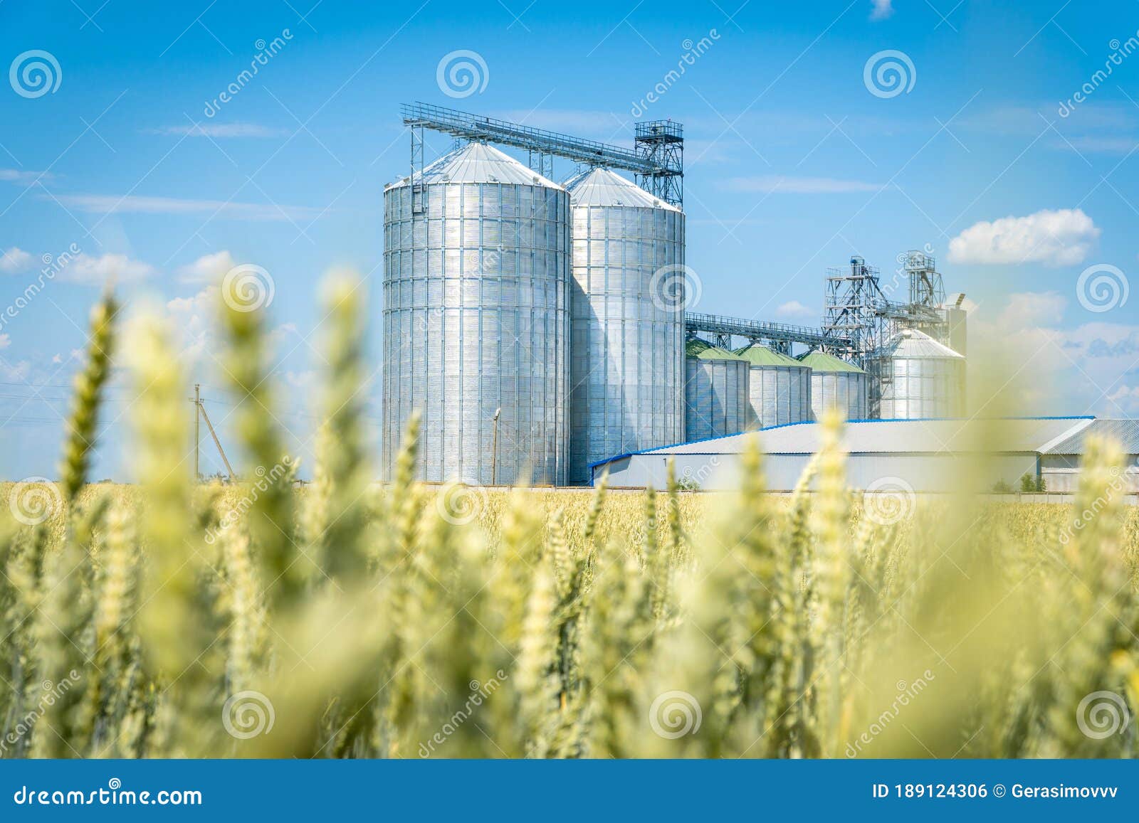 Modern Grain Terminal. Metal Tanks Of Elevator. Grain-drying Complex ...