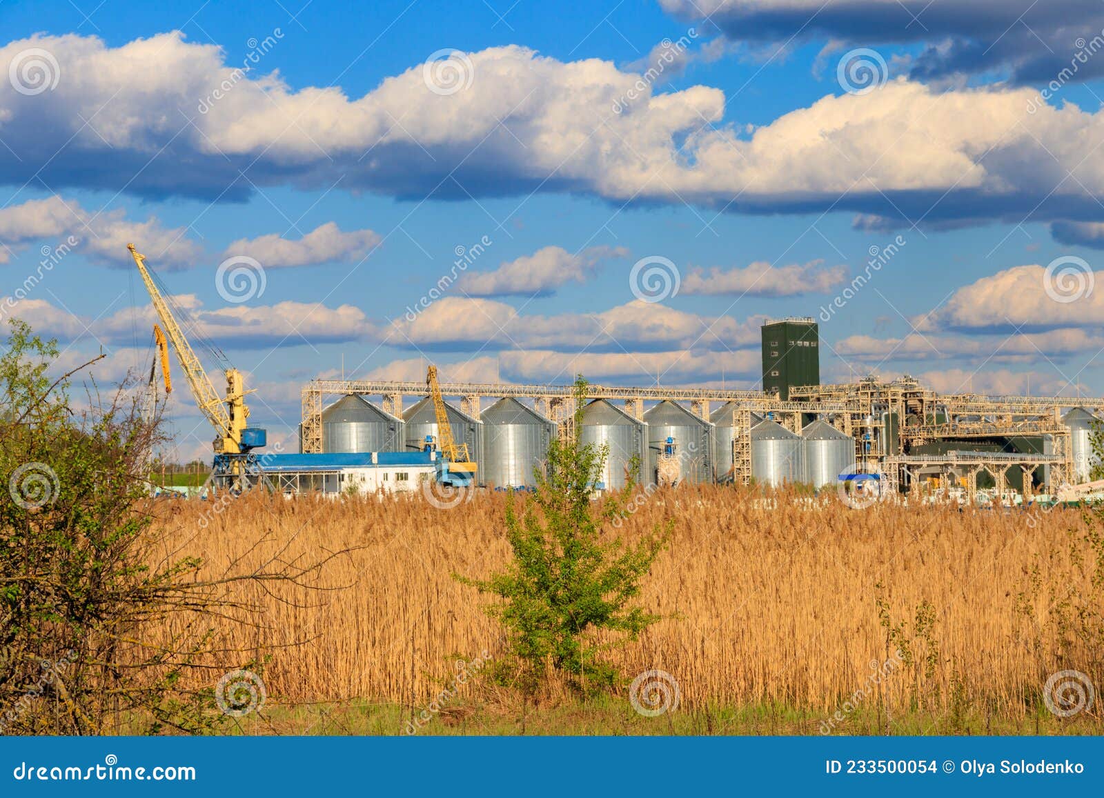 Modern Granaries for Storing Cereal Grains Stock Photo - Image of ...
