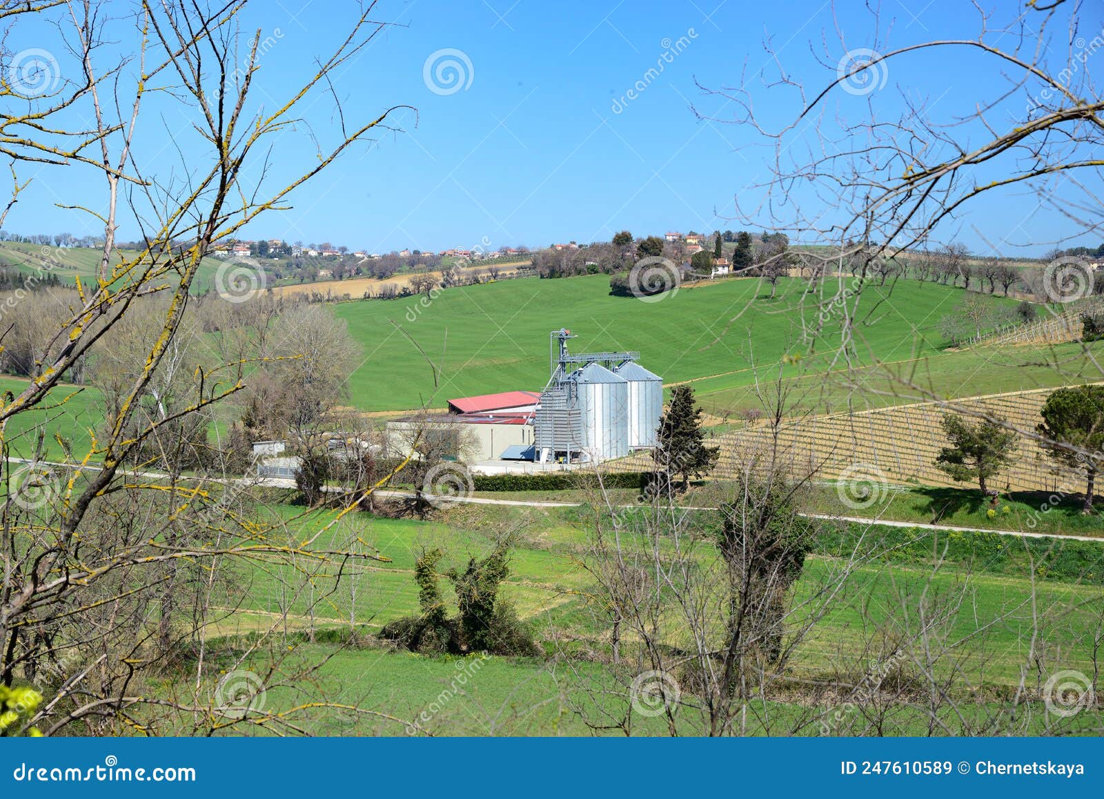 Modern Granaries for Storing Cereal Grains Outdoors on Sunny Day Stock ...