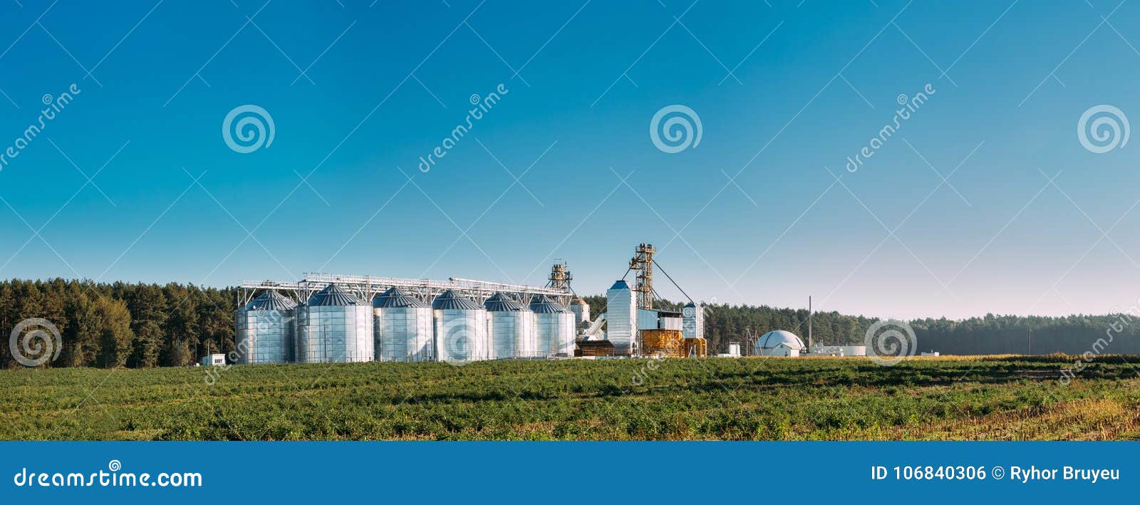 Modern Granary, Grain-drying Complex, Commercial Grain or Seed Silos ...