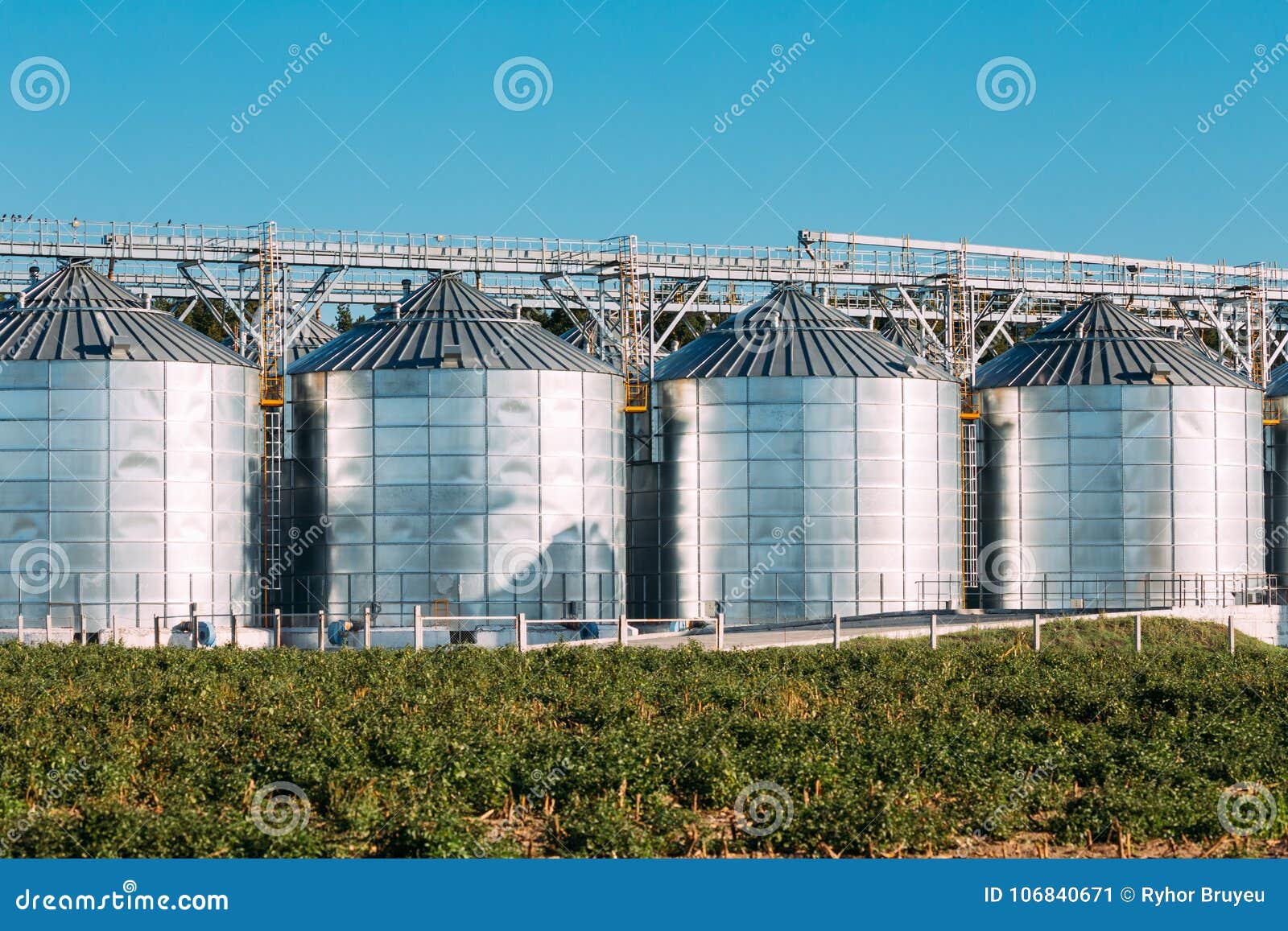 Modern Granary, Grain-drying Complex, Commercial Grain or Seed Silos ...