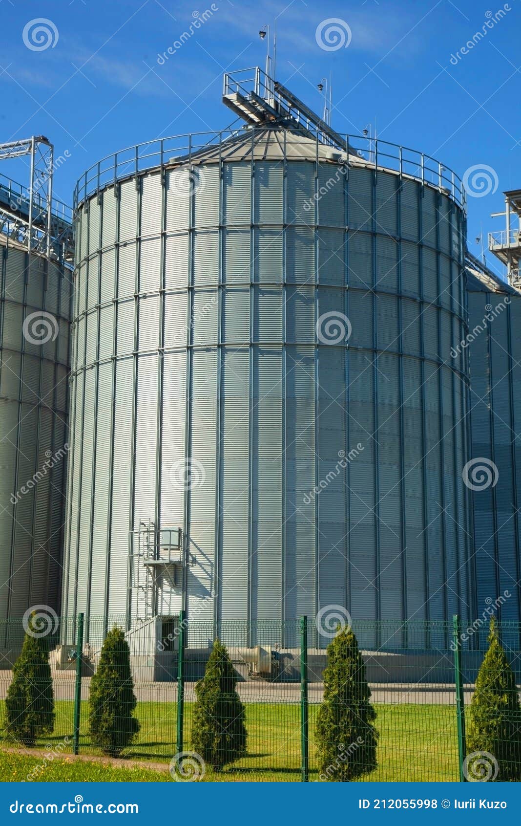 Modern Granary. a Large Agro-processing Plant for the Storage and ...