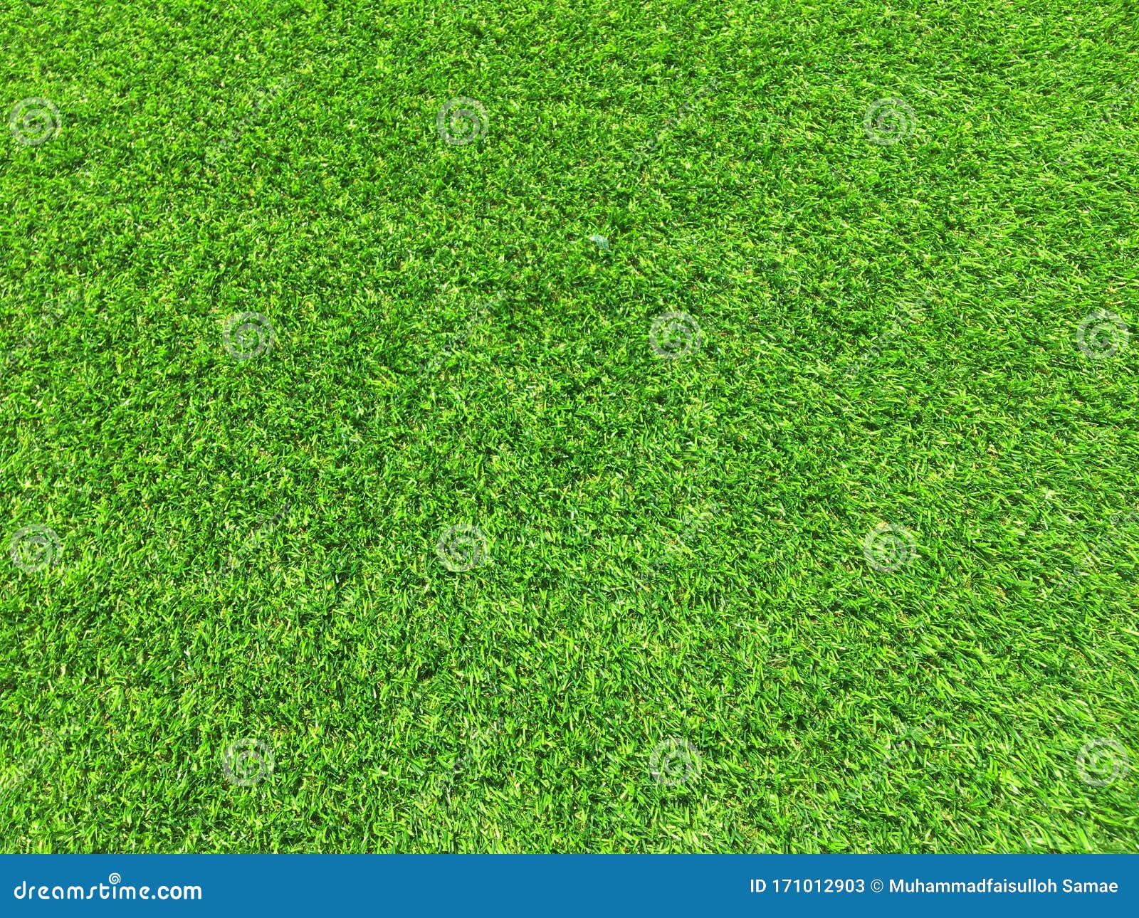 Modern Green Lawn Texture Background. Wallpaper for Work and Design ...