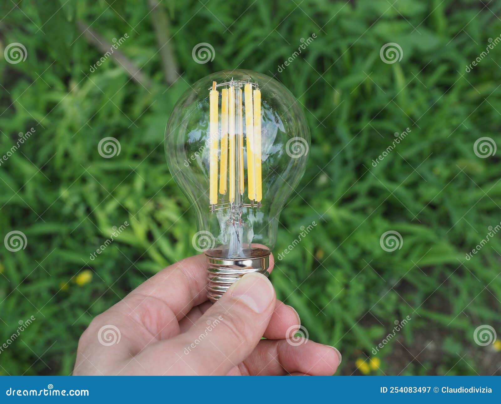 Modern Green Led Bulb in the Grass Stock Image - Image of light, nature ...