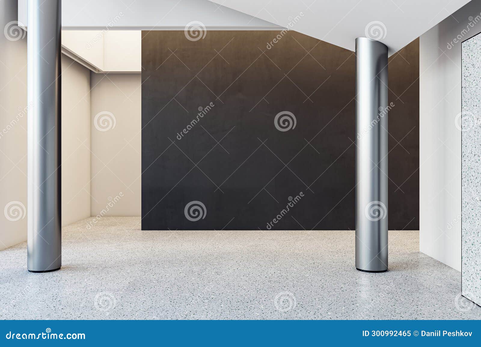 Modern Hallway Interior with Columns, Blank Mock Up Place and Daylight ...