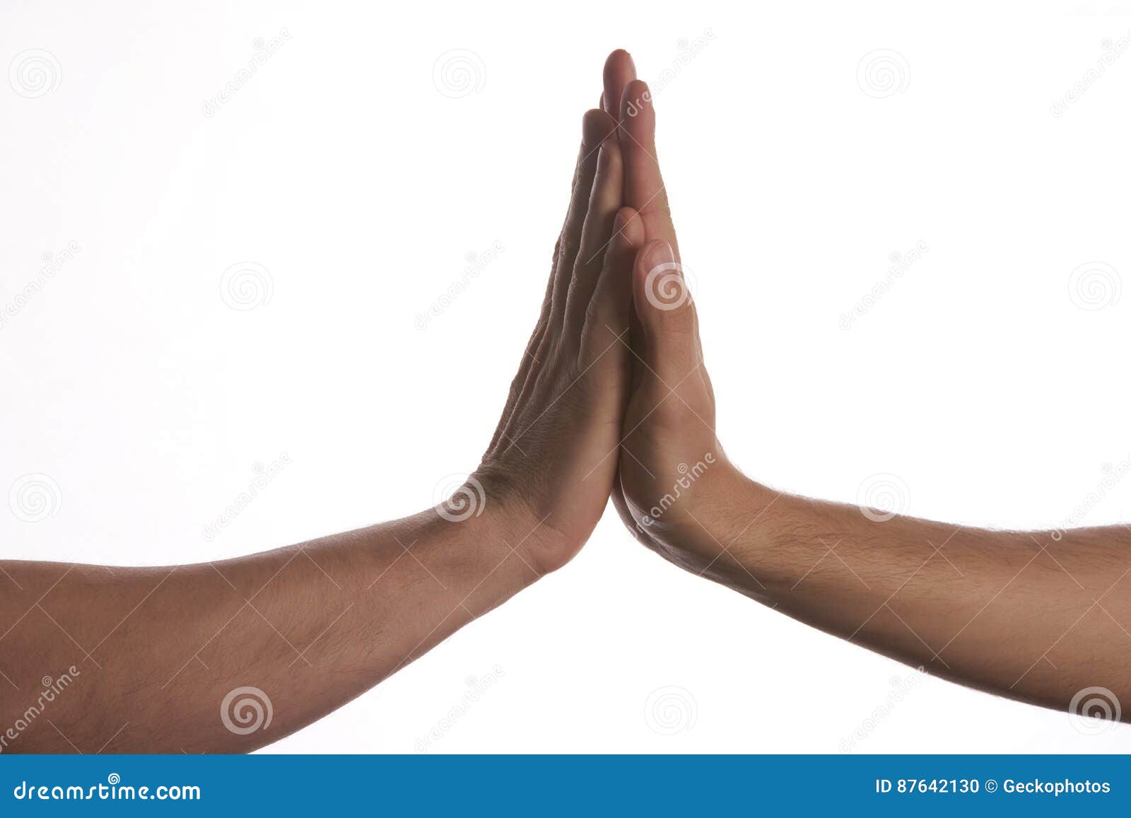 Modern Handshake of Two Male People Stock Photo - Image of successful ...
