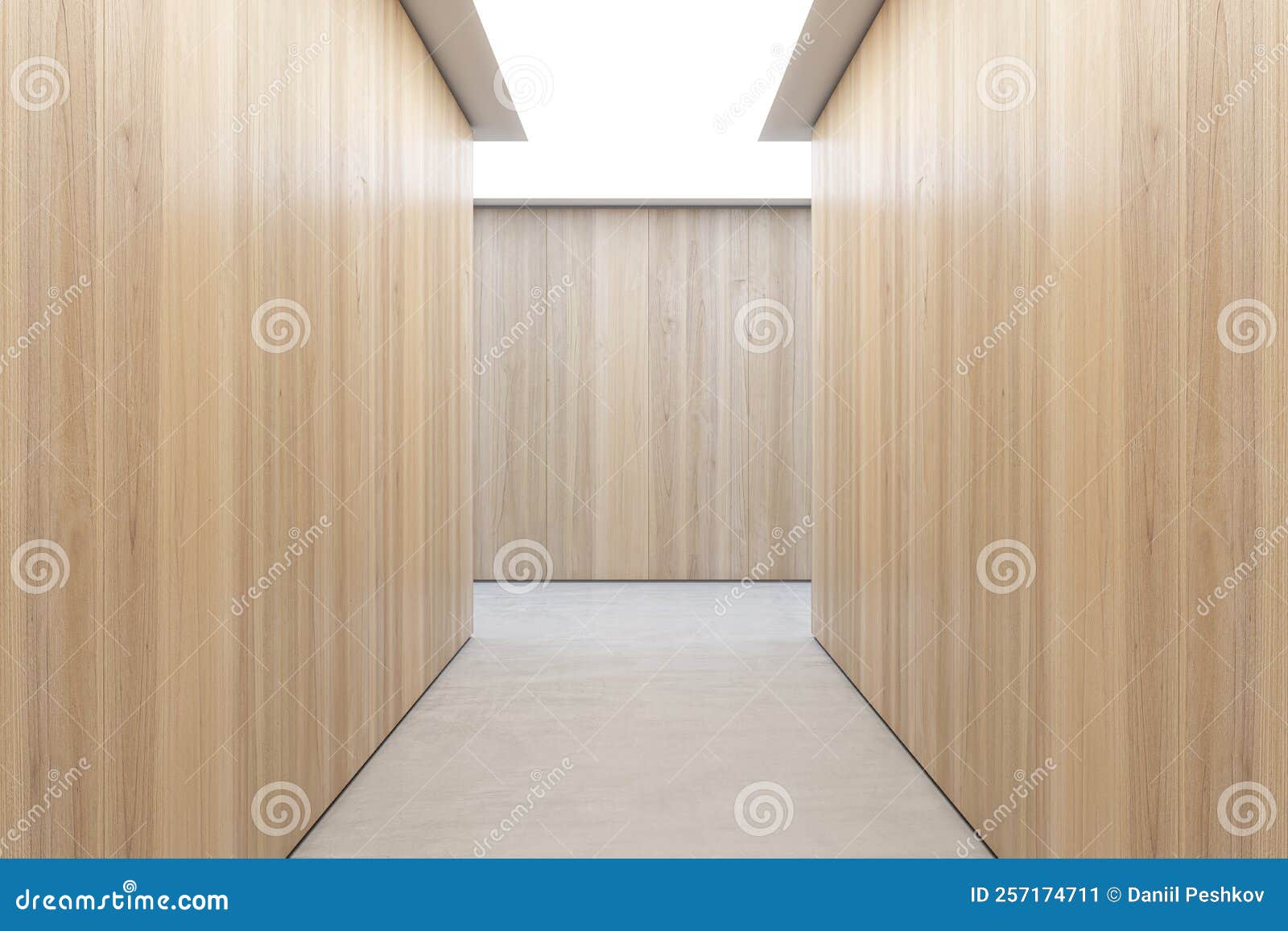 Modern Hardwood Hallway Interior With Mock Up Place On Wall. Design And ...