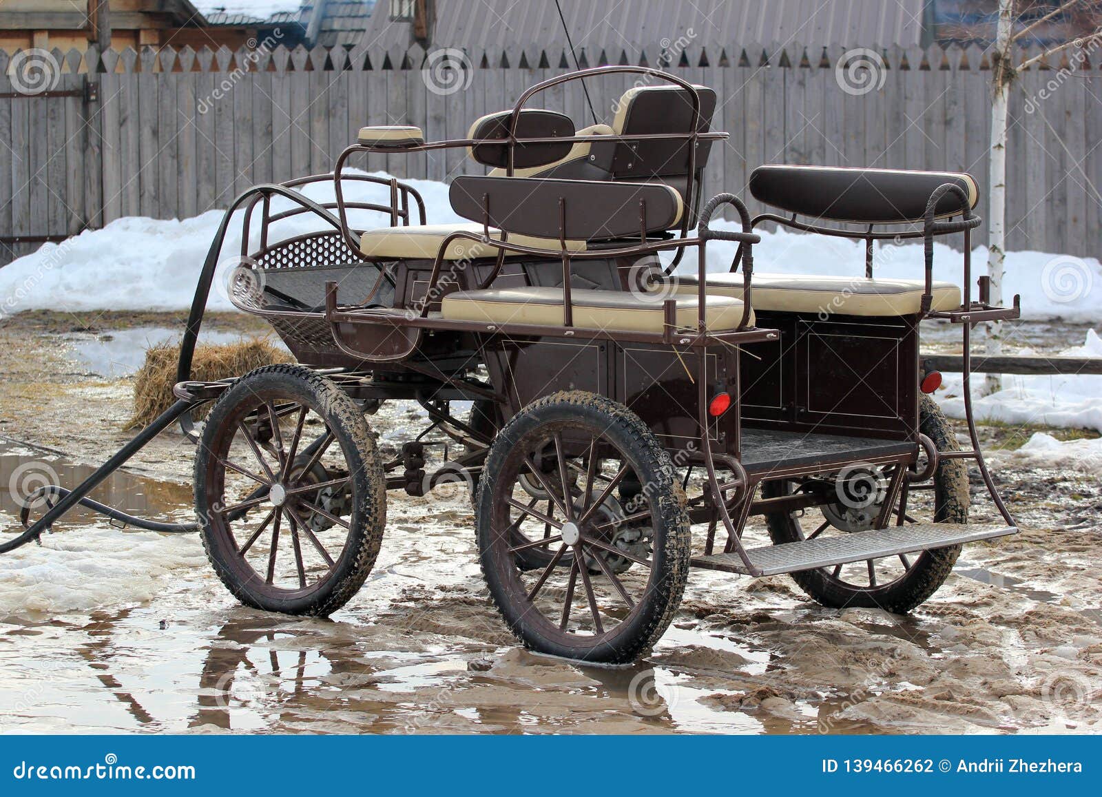 Modern Horse-drawn Carriage, Waiting for Horse and Passengers Stock ...