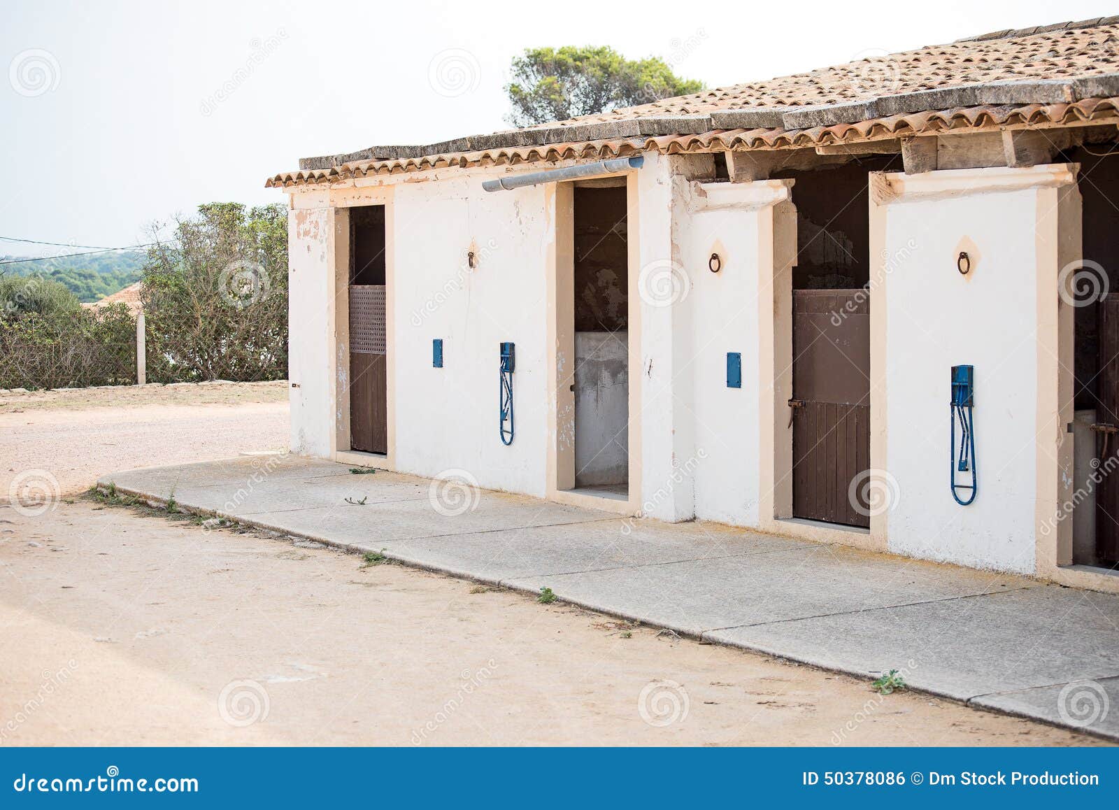 Modern horse stables. stock photo. Image of animal, outside - 50378086