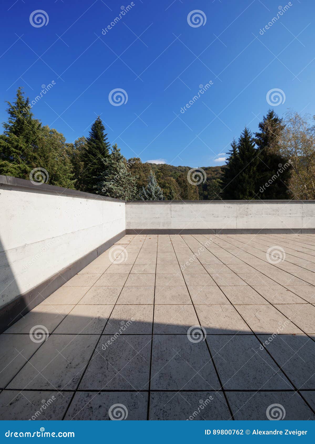 Modern House Exterior Empty Rooftop, Nature View Stock Photo - Image of ...