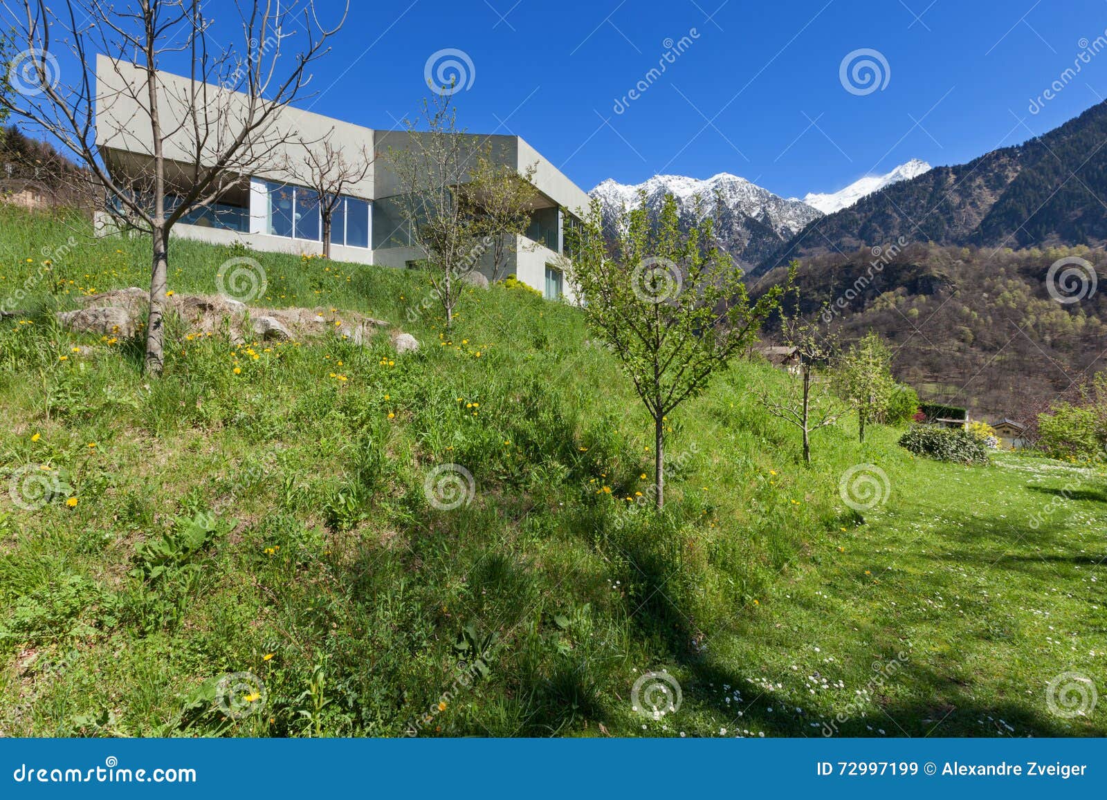Modern House View from the Meadow Stock Image - Image of design, green ...
