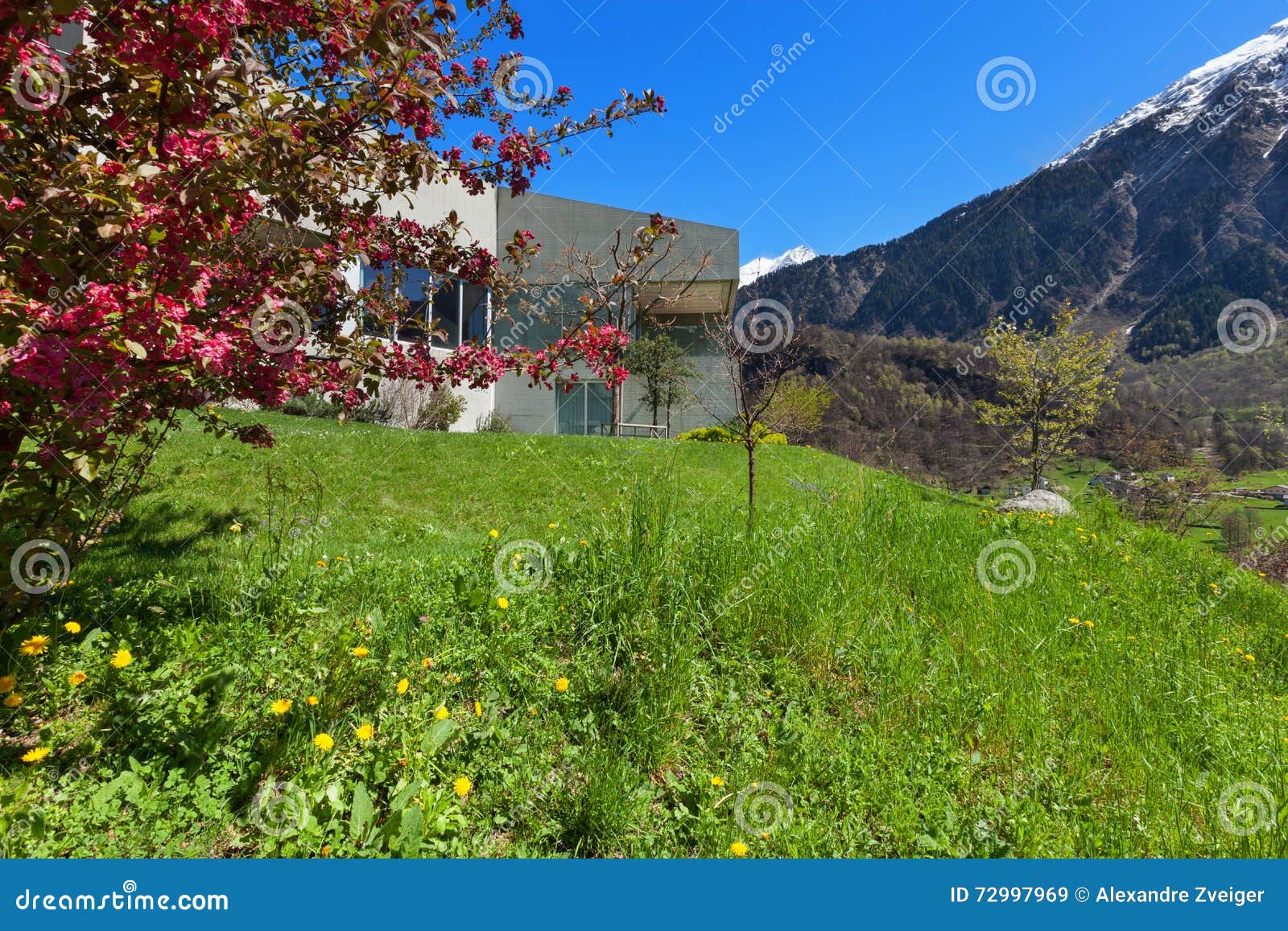 Modern House View from the Meadow Stock Image - Image of housing, house ...