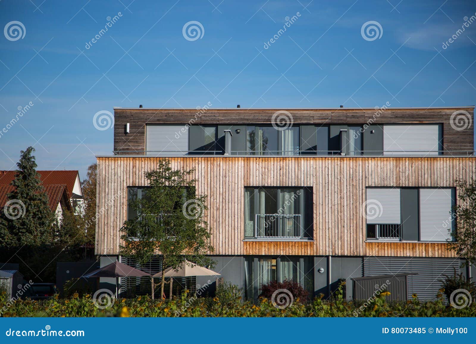 Modern Facade Timber Clad Houses