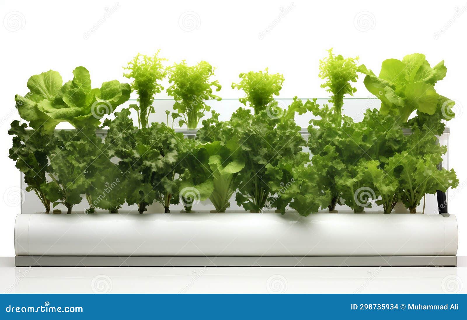 Modern Hydroponic System on White Background Stock Photo - Image of ...