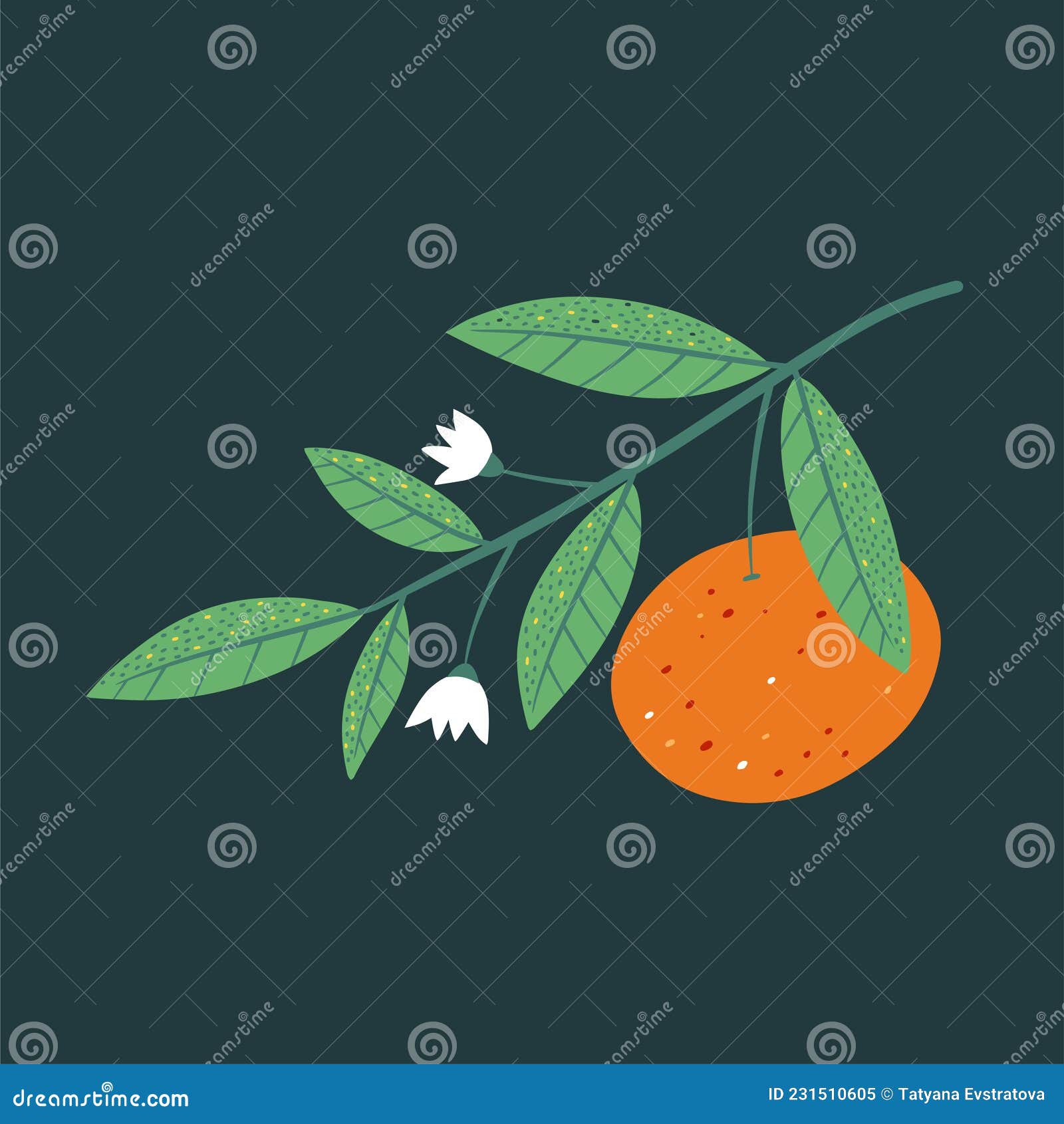 Modern Illustration with Mandarin. Stock Vector - Illustration of ...