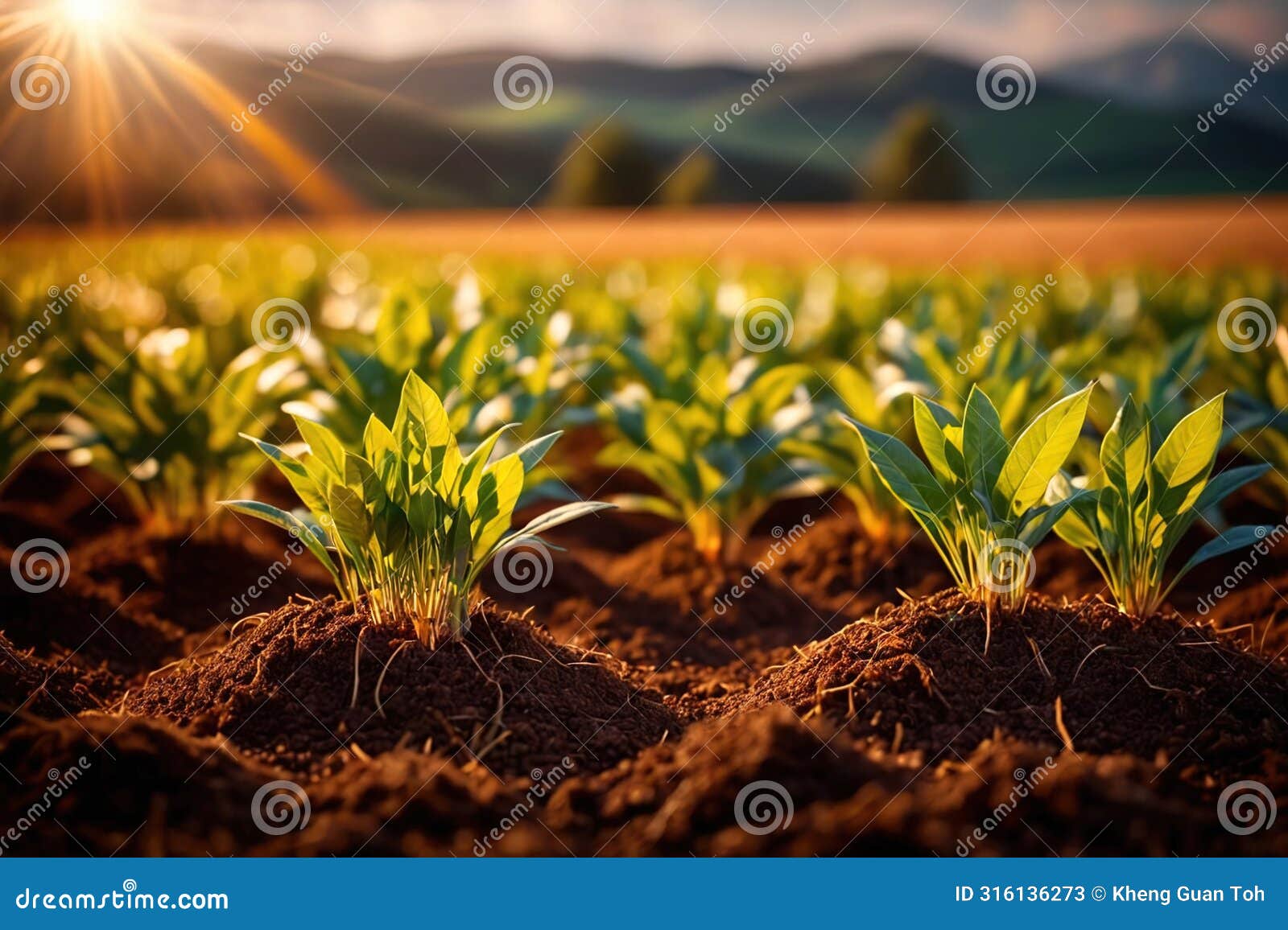 Modern Industrialized Agriculture Using Technology, Agritech Farming Of ...