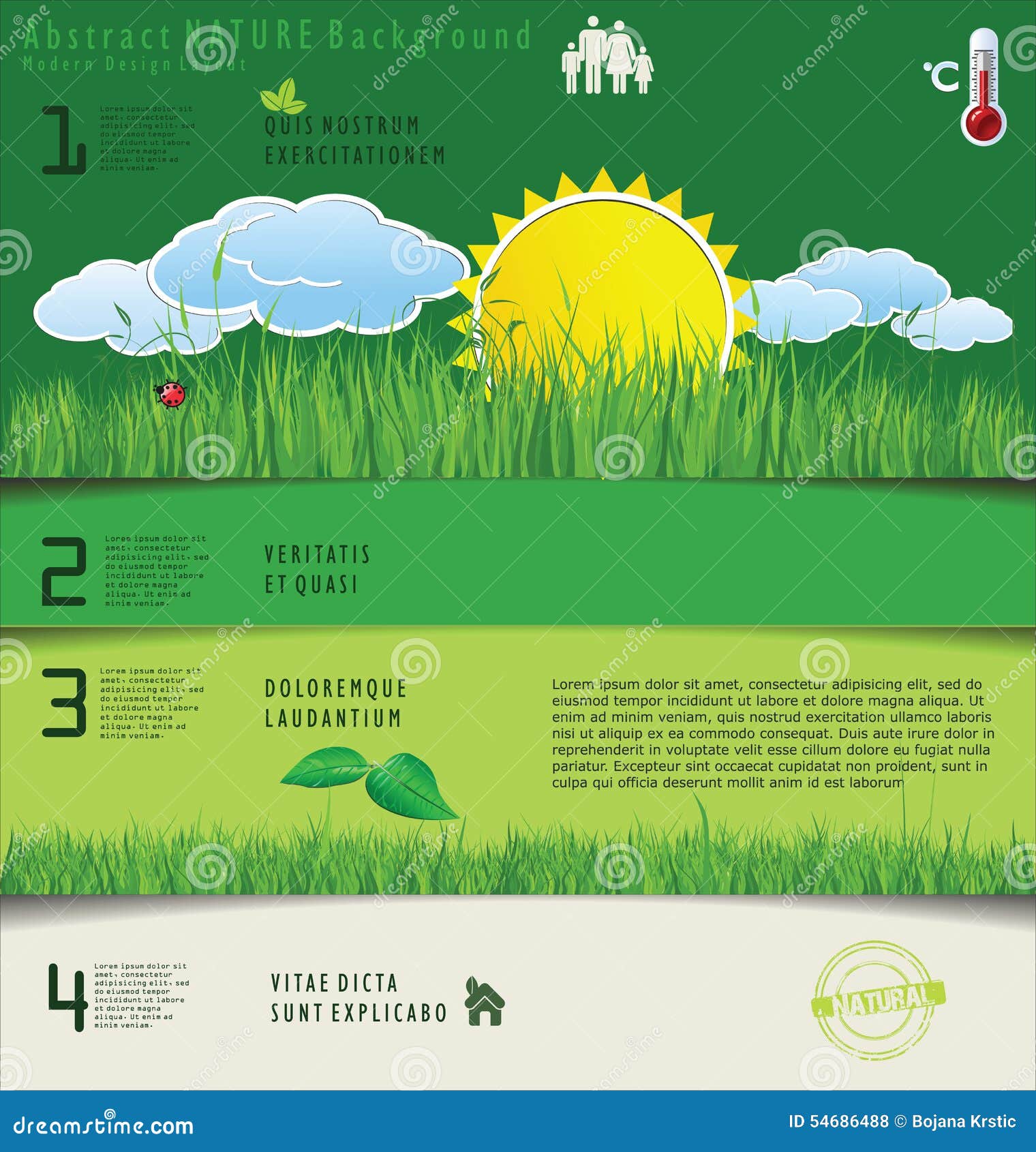 Modern Infographic Nature Design Layout Stock Illustration ...