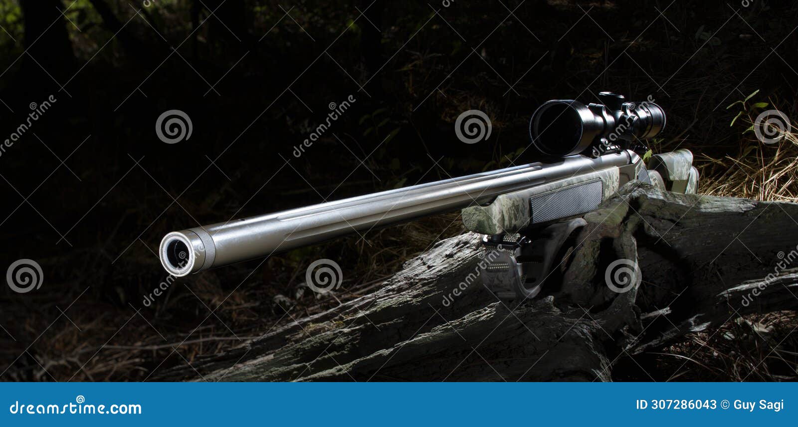 Modern Inline Muzzleloader Rifle in a Forrest Stock Image - Image of ...