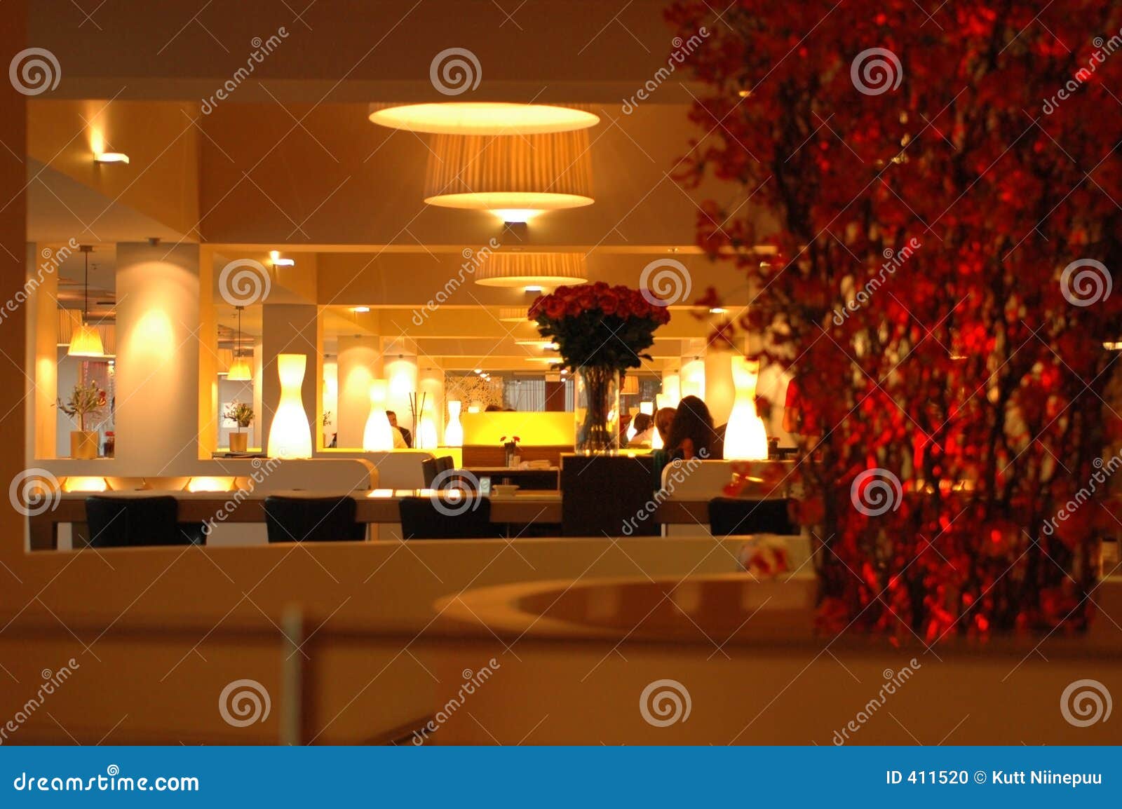 Modern interior abstract stock photo. Image of restaurant - 411520