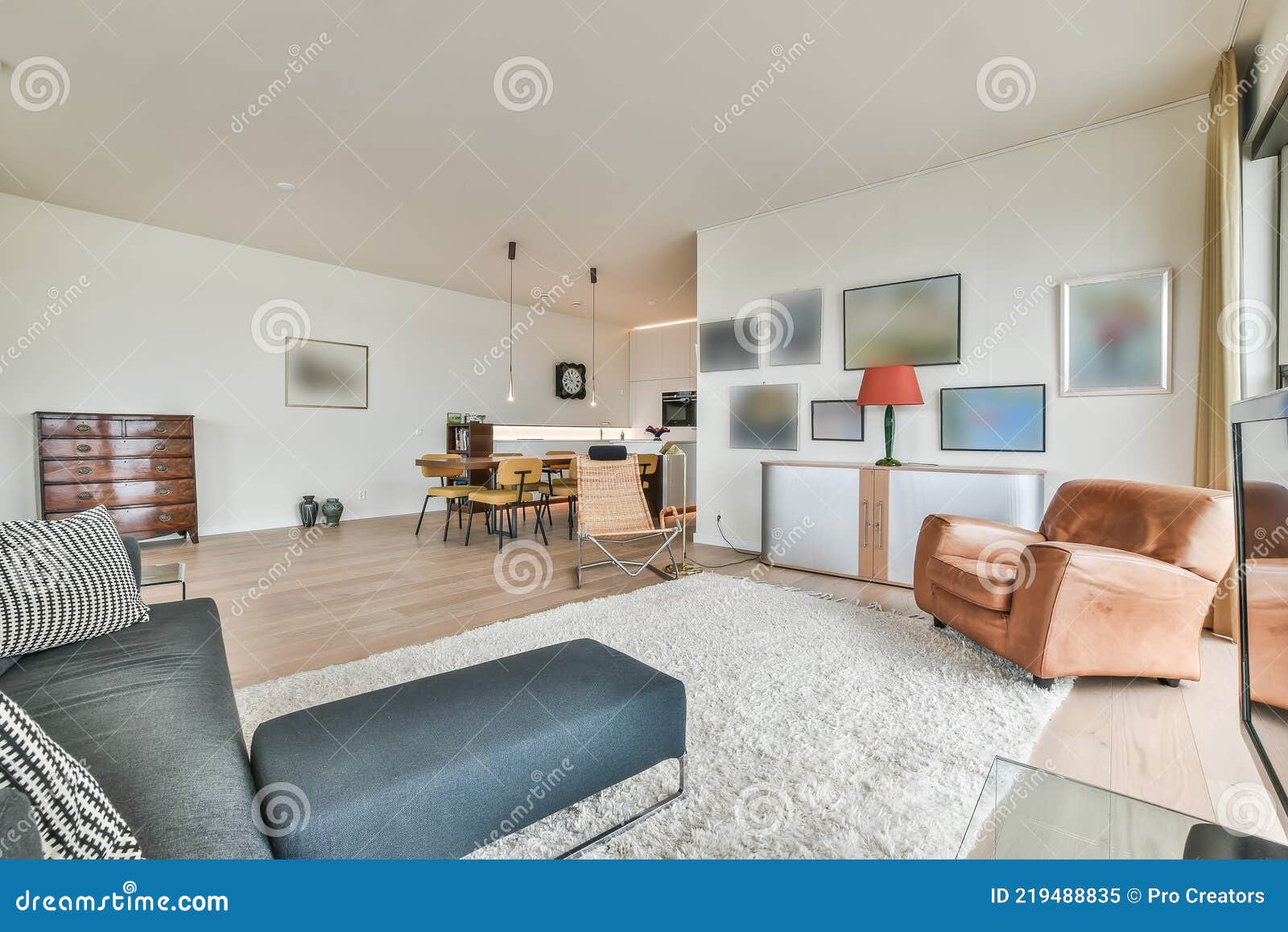 Lounge Zone in Spacious Apartment Stock Image - Image of lounge ...