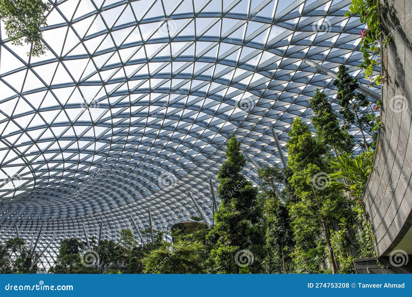 Modern Interior Design with Trees Inside the Terminal Building ...