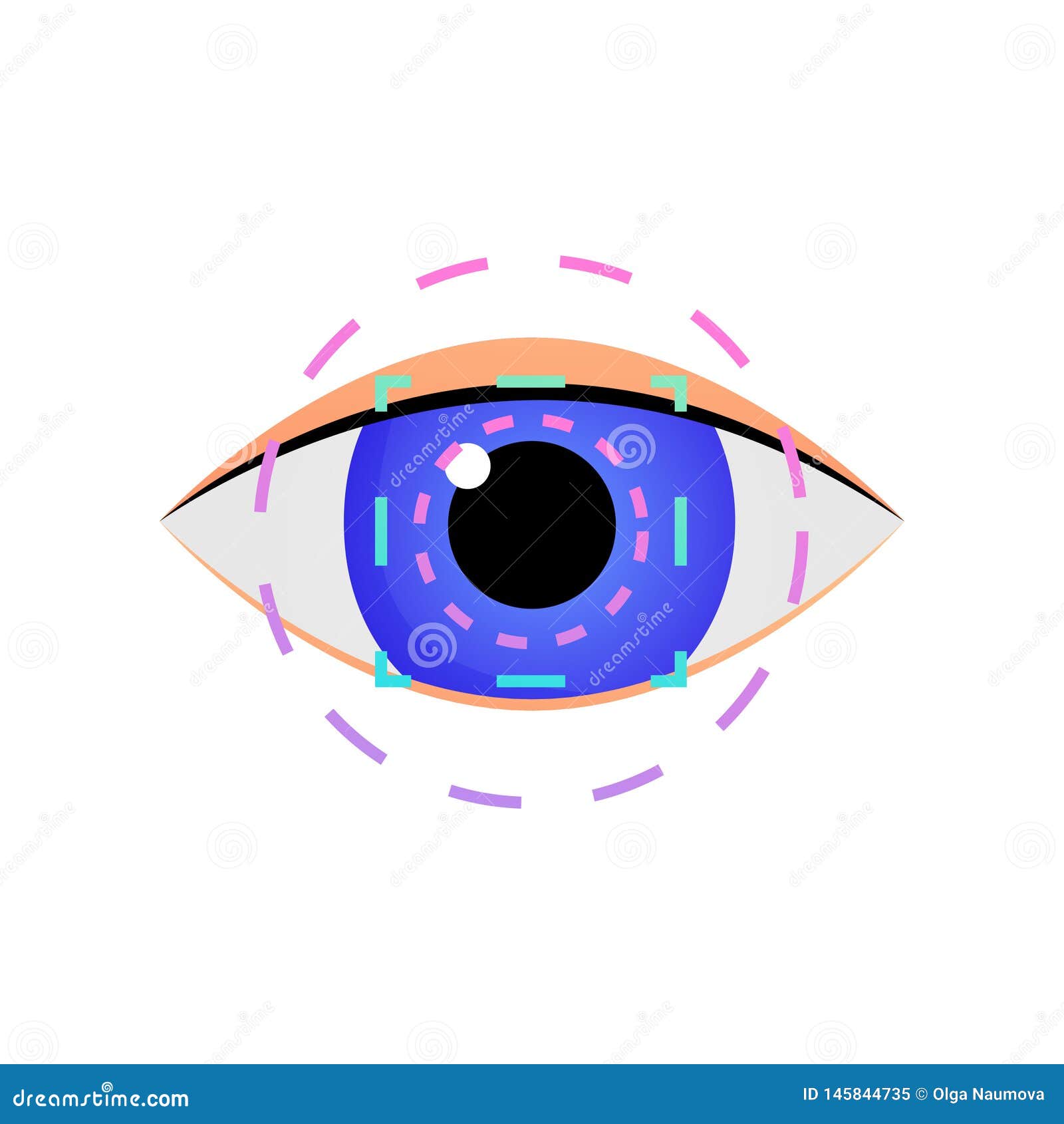 Blue Eye Security Systems