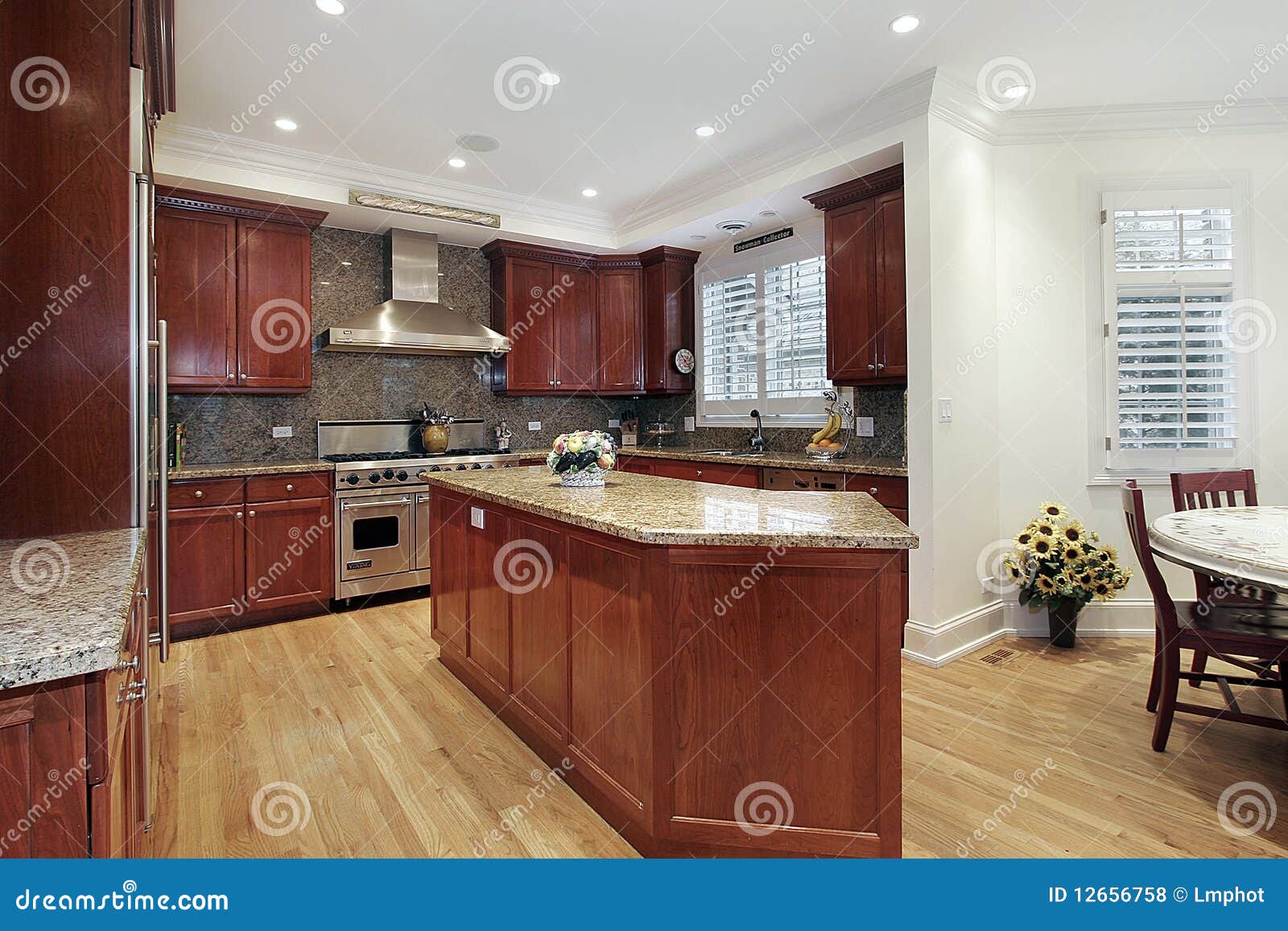 Modern kitchen stock photo. Image of living, suburb, fixtures - 12656758