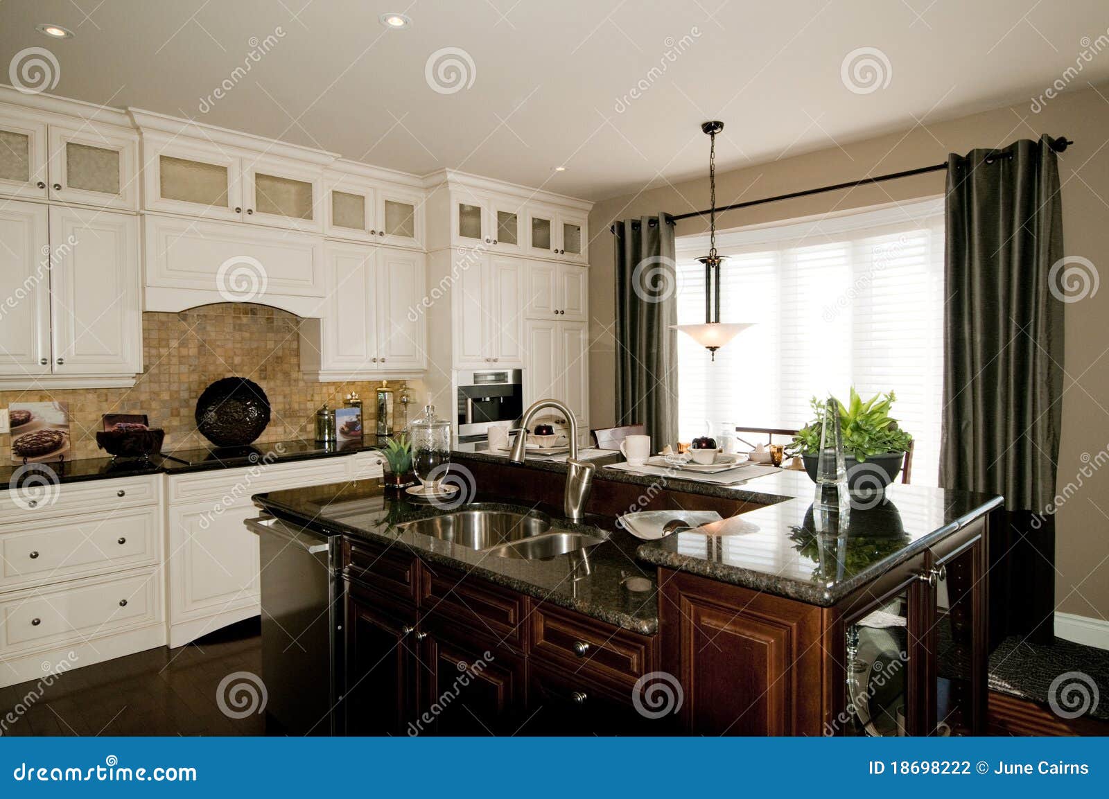 Modern kitchen stock photo. Image of facet, plants, dishwasher - 18698222