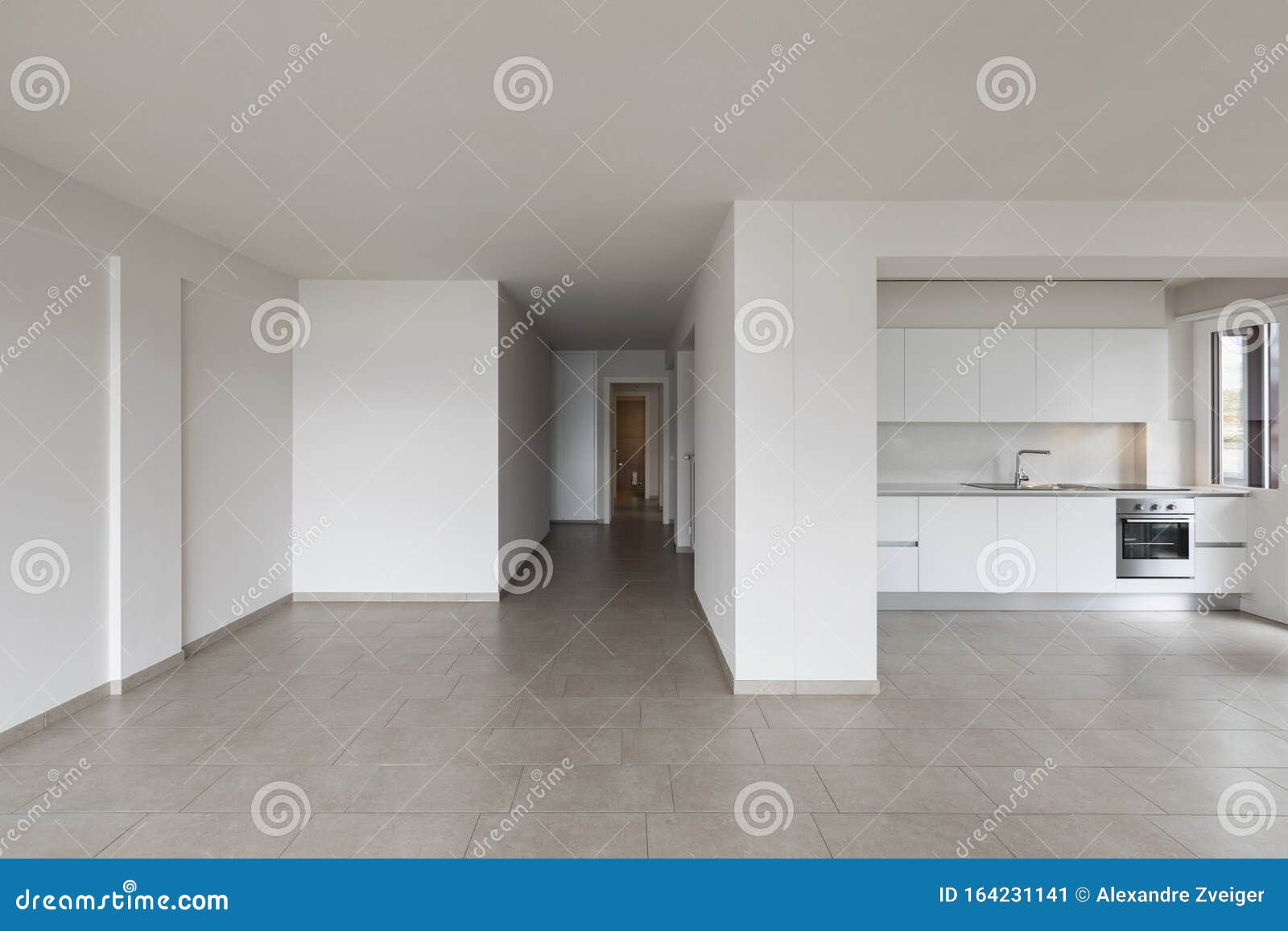 Modern Kitchen in Empty Apartment Stock Image - Image of inside, sink ...