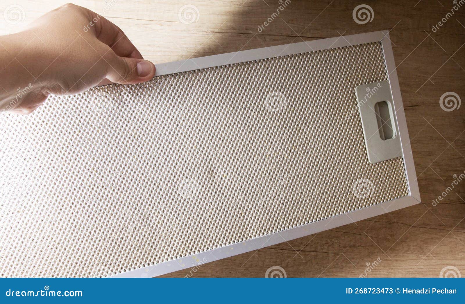 Modern Kitchen Hood with Grease Filter for Air Purification. Replacing ...