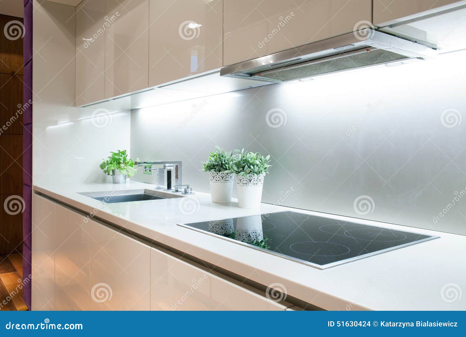 Modern Kitchen with Induction Hob Stock Photo - Image of flowerpot ...