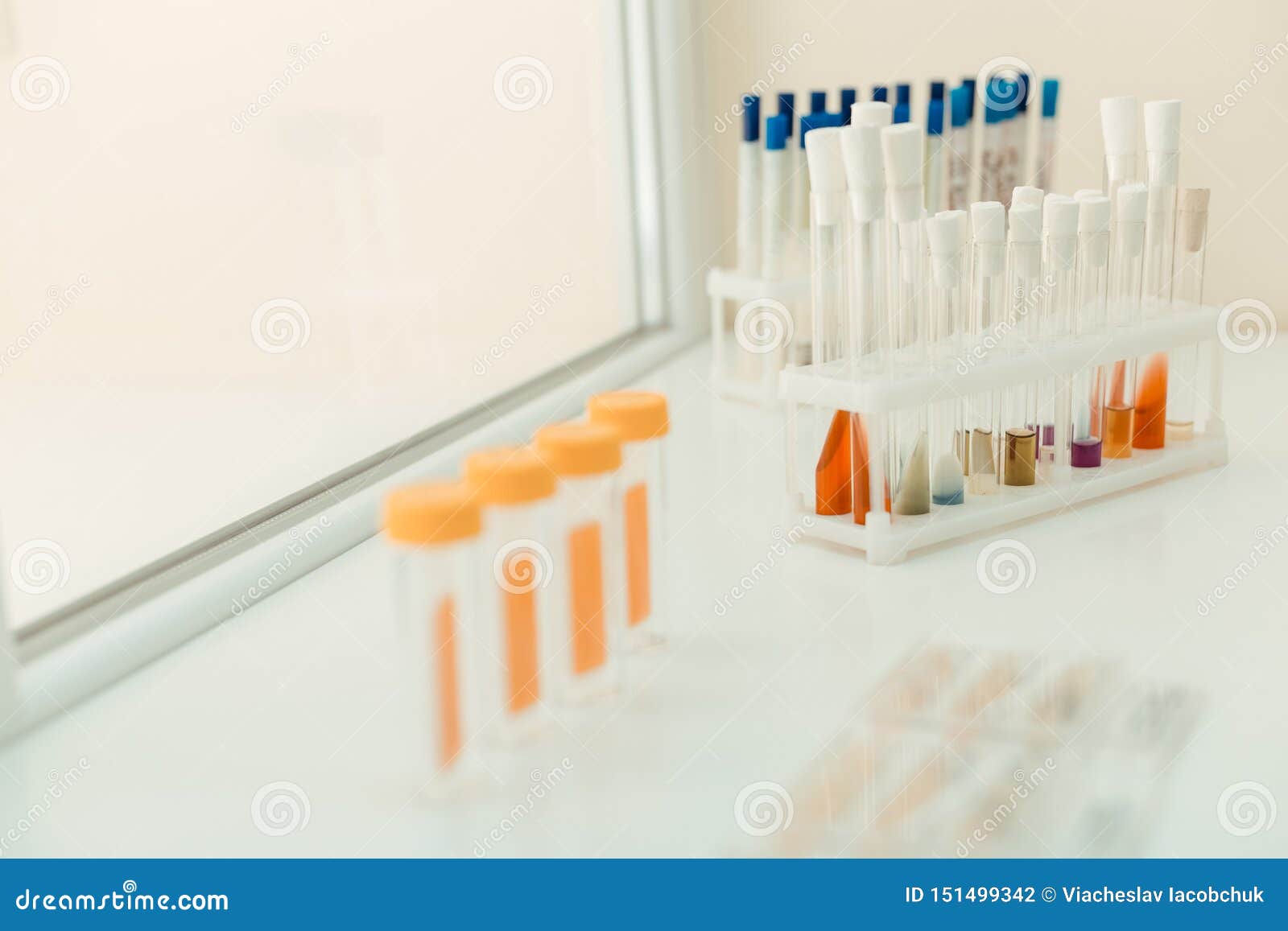 Close Up of a Test Tube Rack on the Table Stock Photo - Image of ...