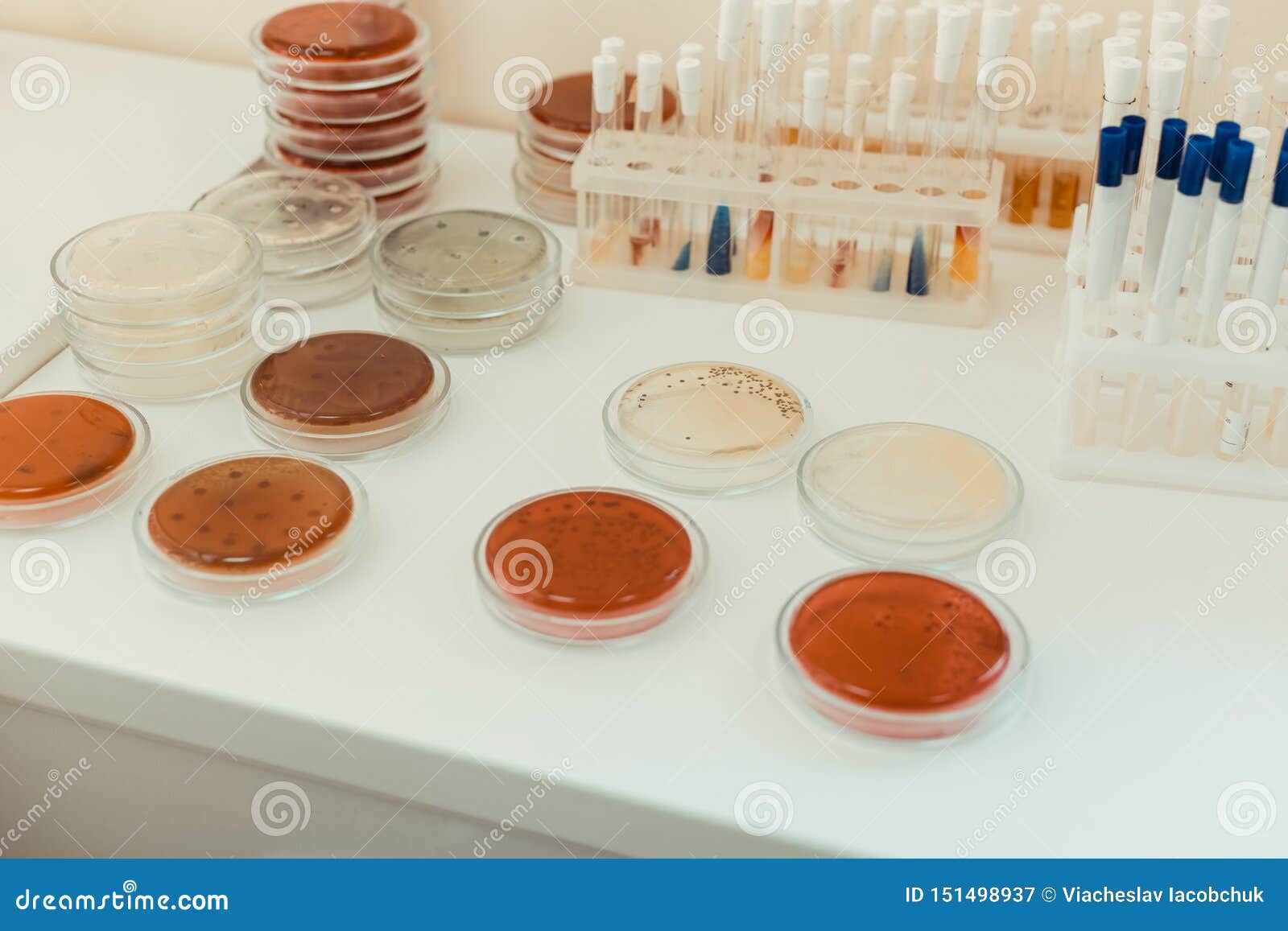 Top View of Test Samples Standing on the Table Stock Image - Image of ...