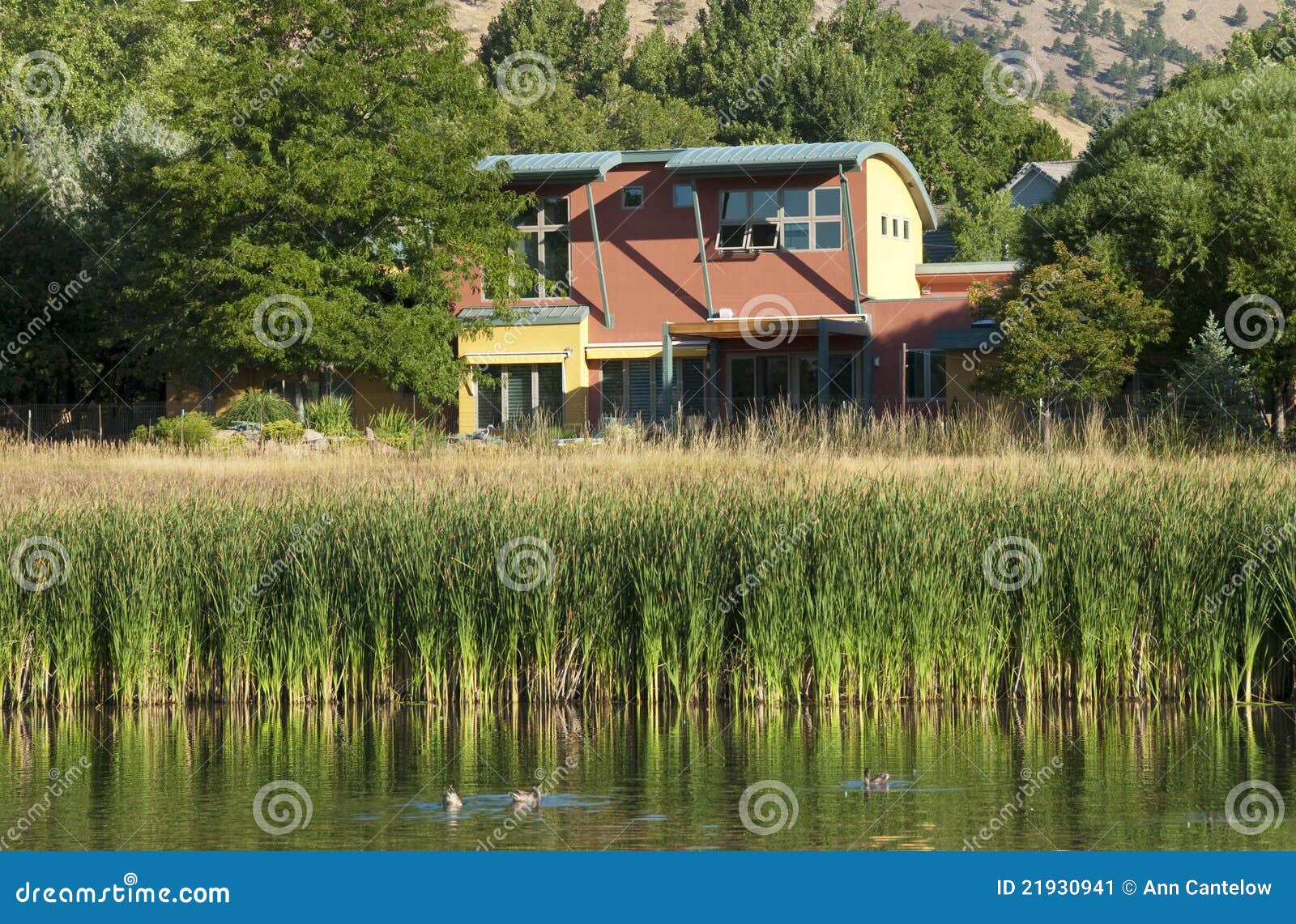 Modern Lakefront Home stock image. Image of hillside - 21930941