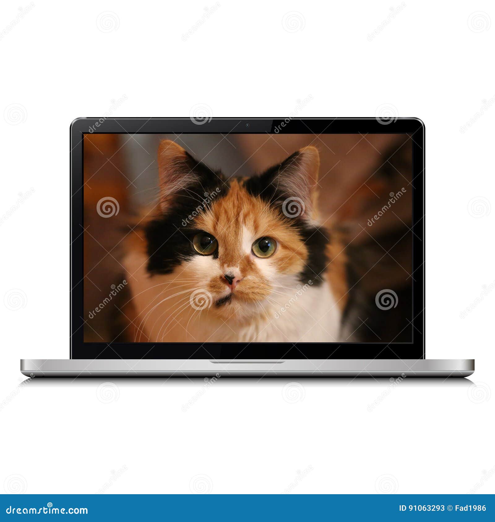 Modern Laptop with Cat on Screen Stock Image - Image of close, colored ...