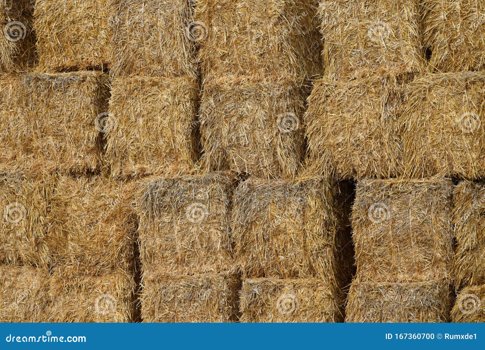 Modern, Large, Stacked Straw Bales Stock Photo - Image of straw, bales ...