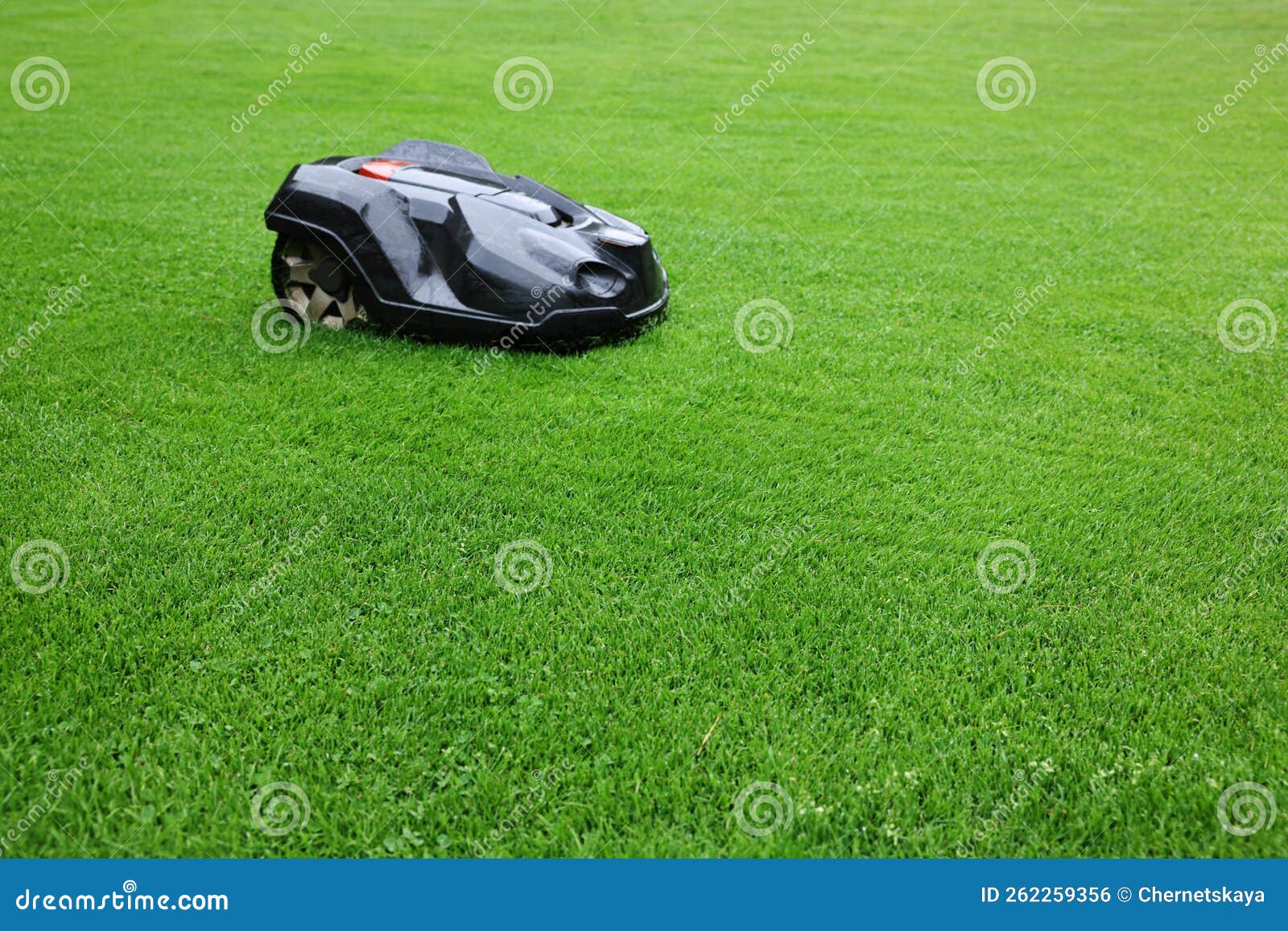 Modern Lawn Mower on Green Grass Outdoors. Space for Text Stock Photo ...