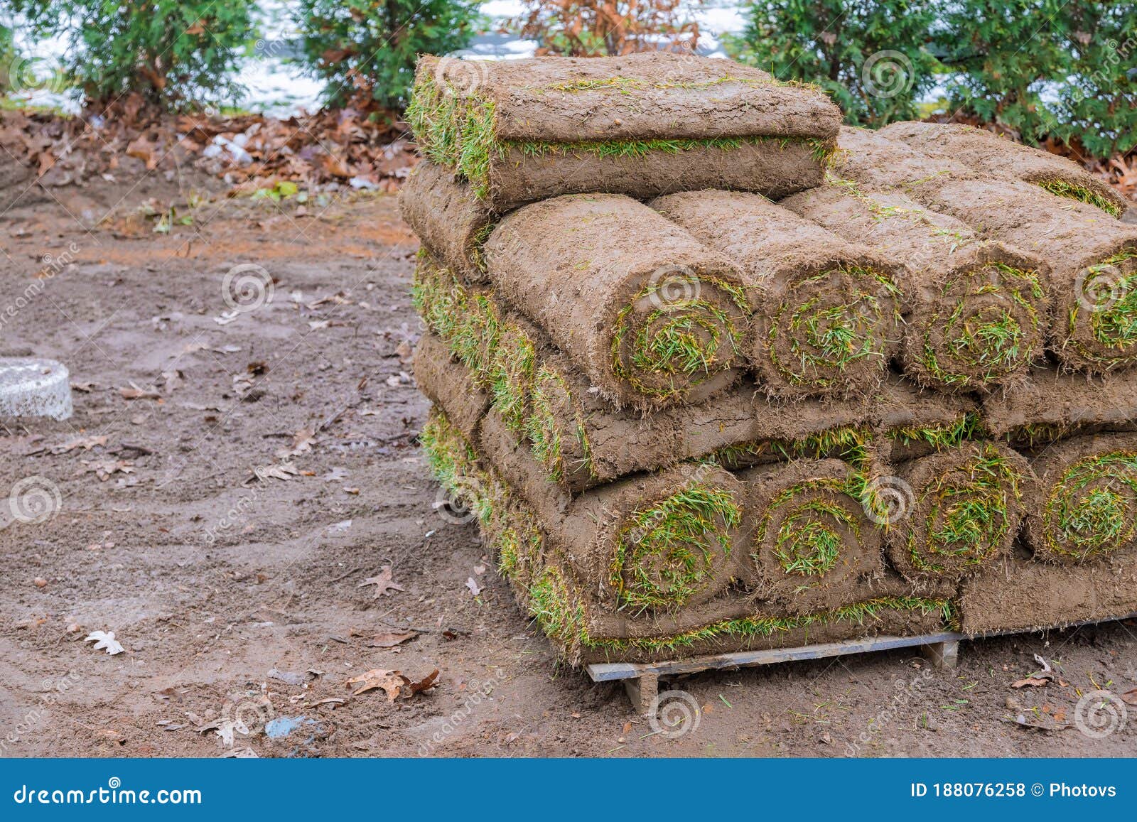 Modern Lawn Planting Technologies in Landscape Design Roll Grass Close ...