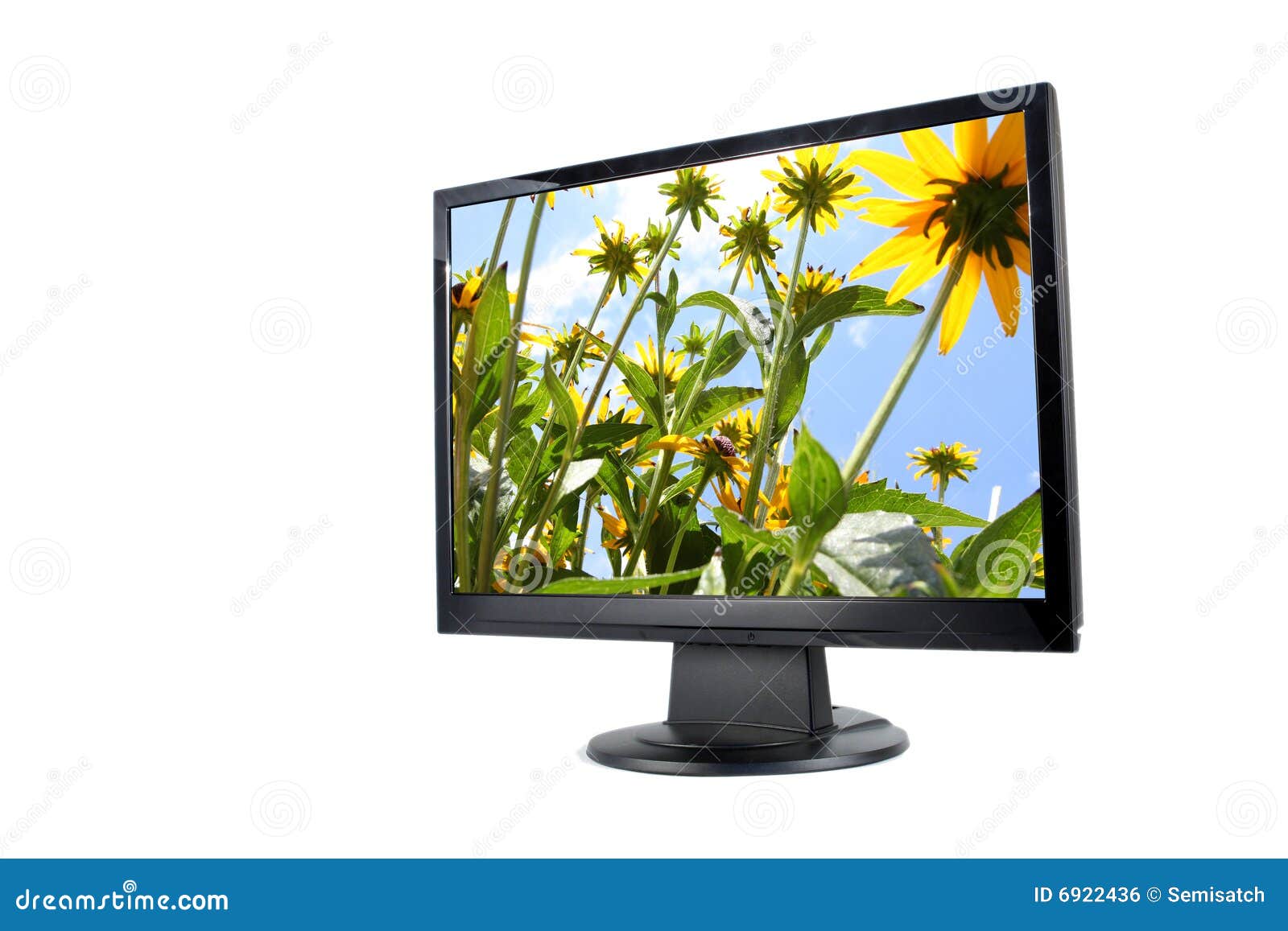 Modern Lcd Monitor Isolated Stock Photo - Image of program, plasma: 6922436