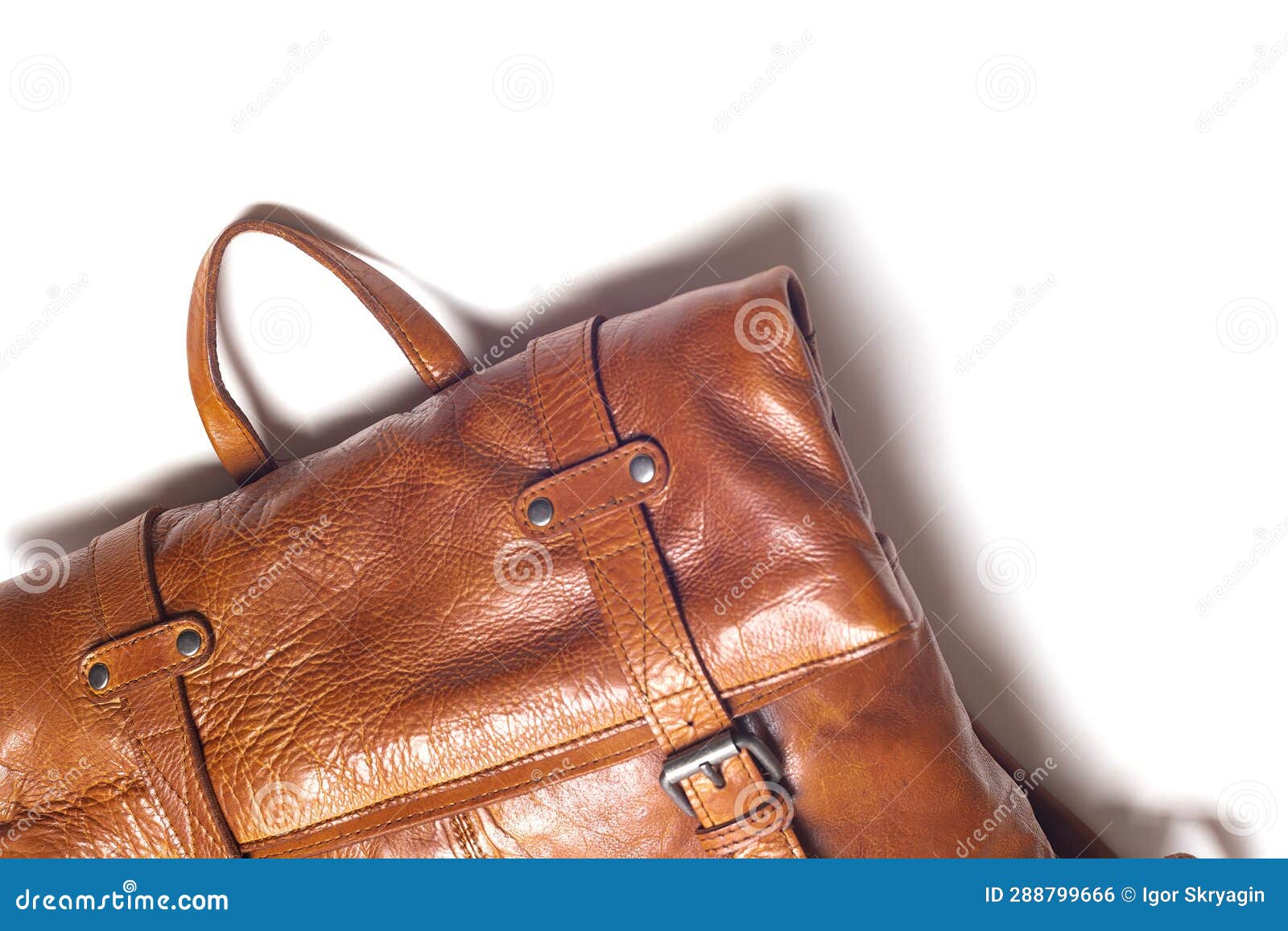 Modern Leather Backpack on a White Background. Stylish Accessory Close ...