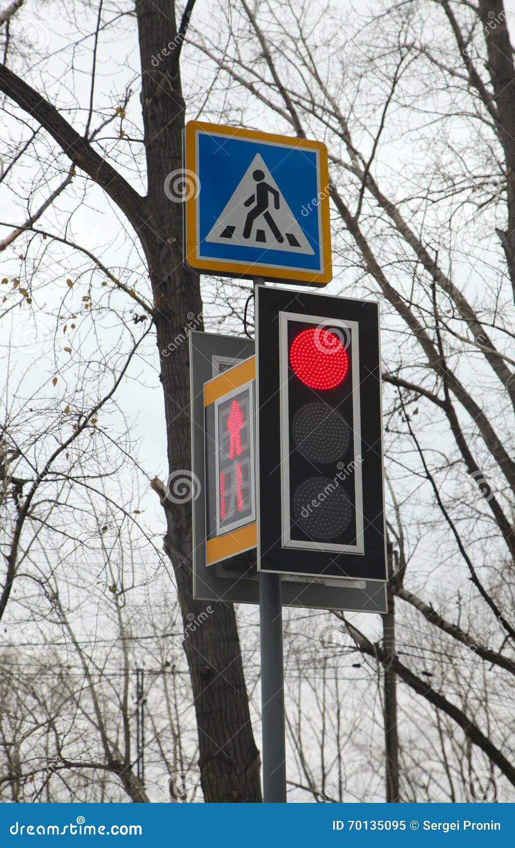 Modern LED Traffic Light Glows Red and the Pedestrian Crossing S Stock ...
