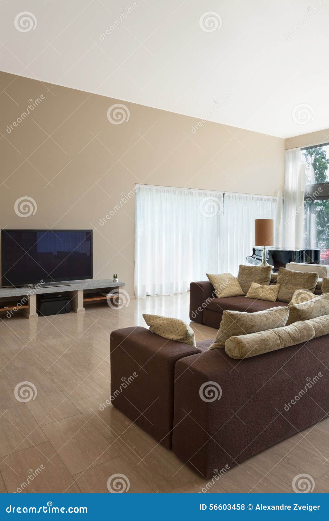 Modern living room, divan stock photo. Image of contemporary - 56603458