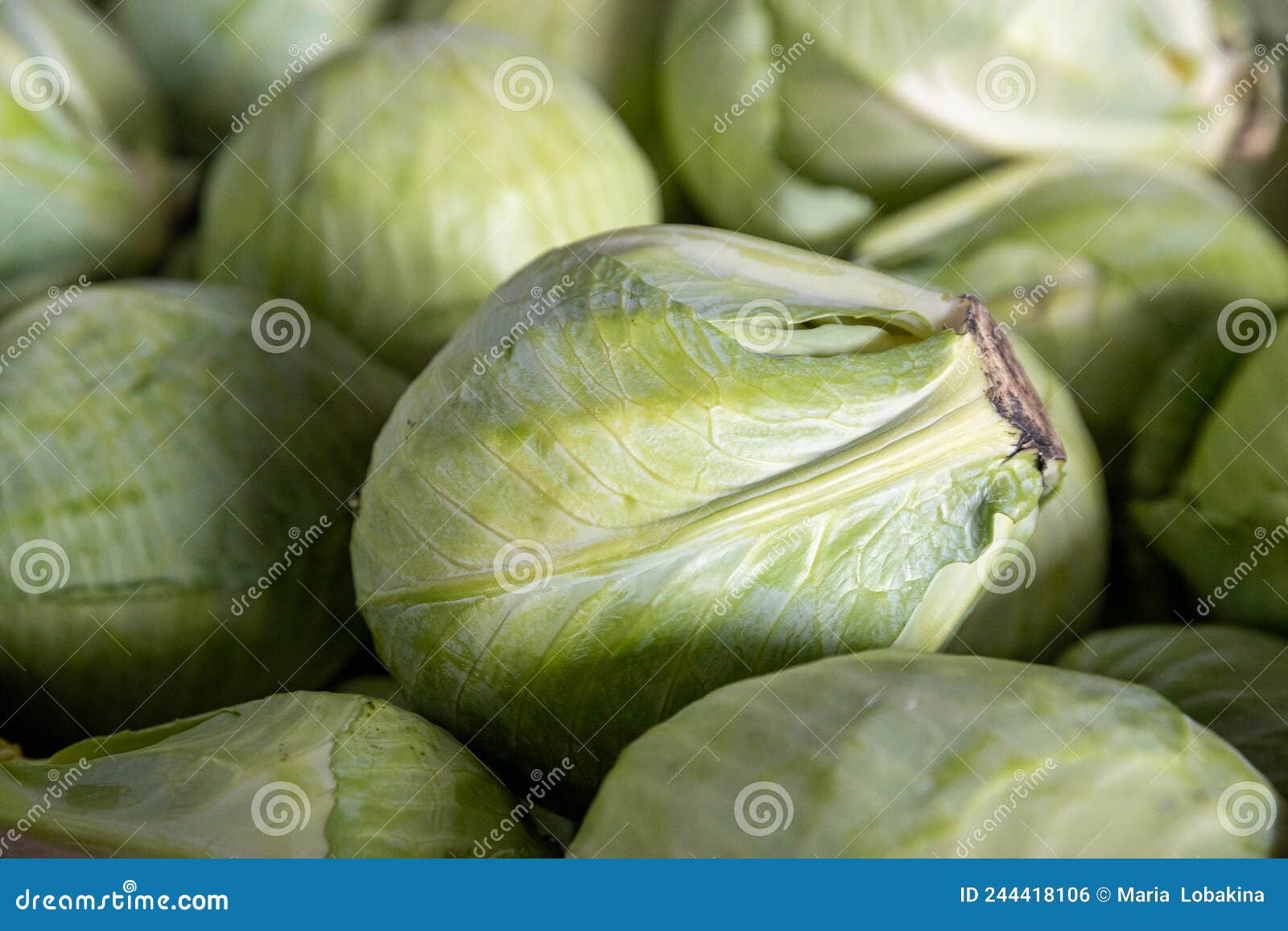 Modern Logistics Center Platform for One-time Storage Stock Photo ...