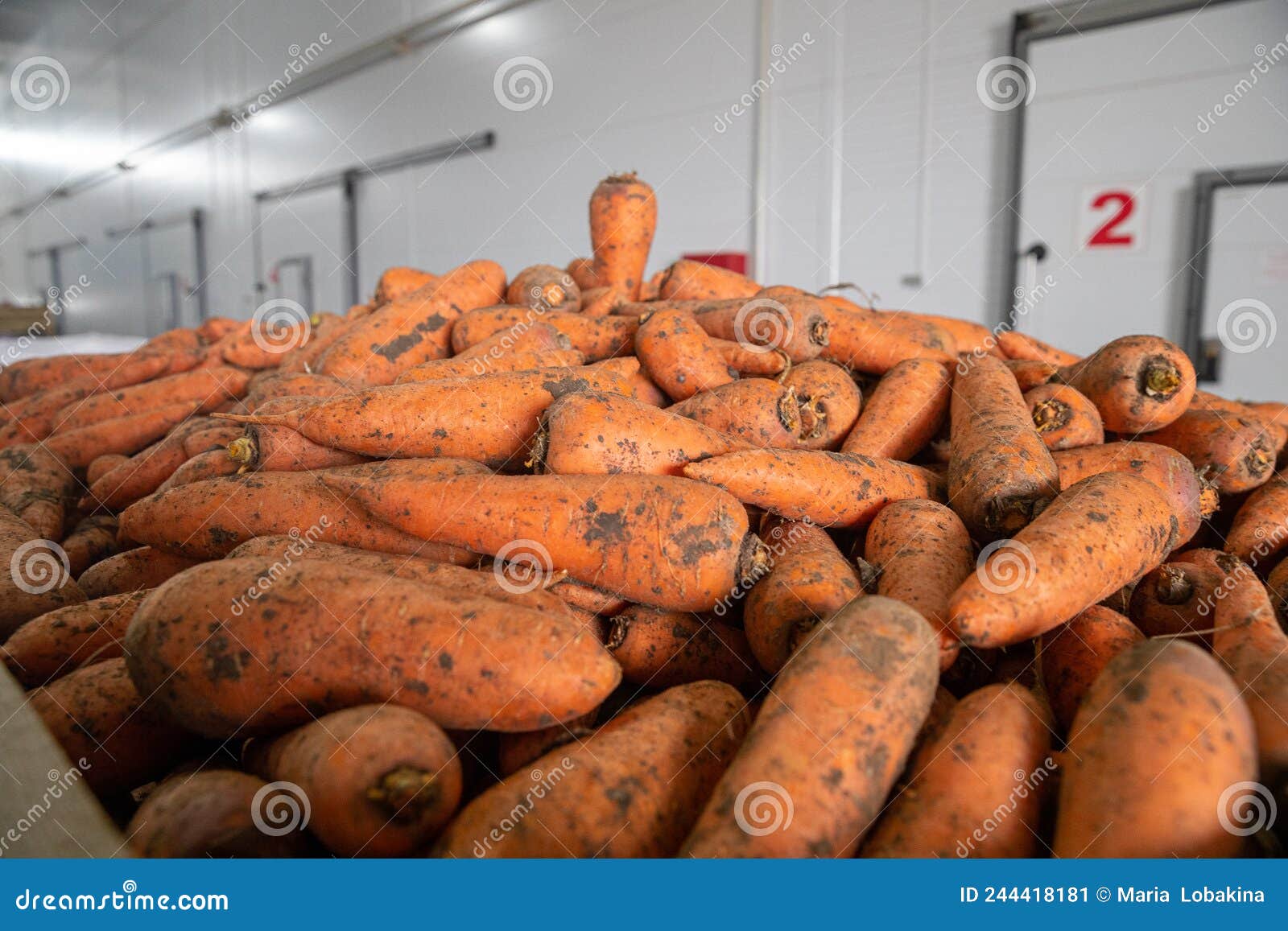 Modern Logistics Center Platform for One-time Storage Stock Image ...