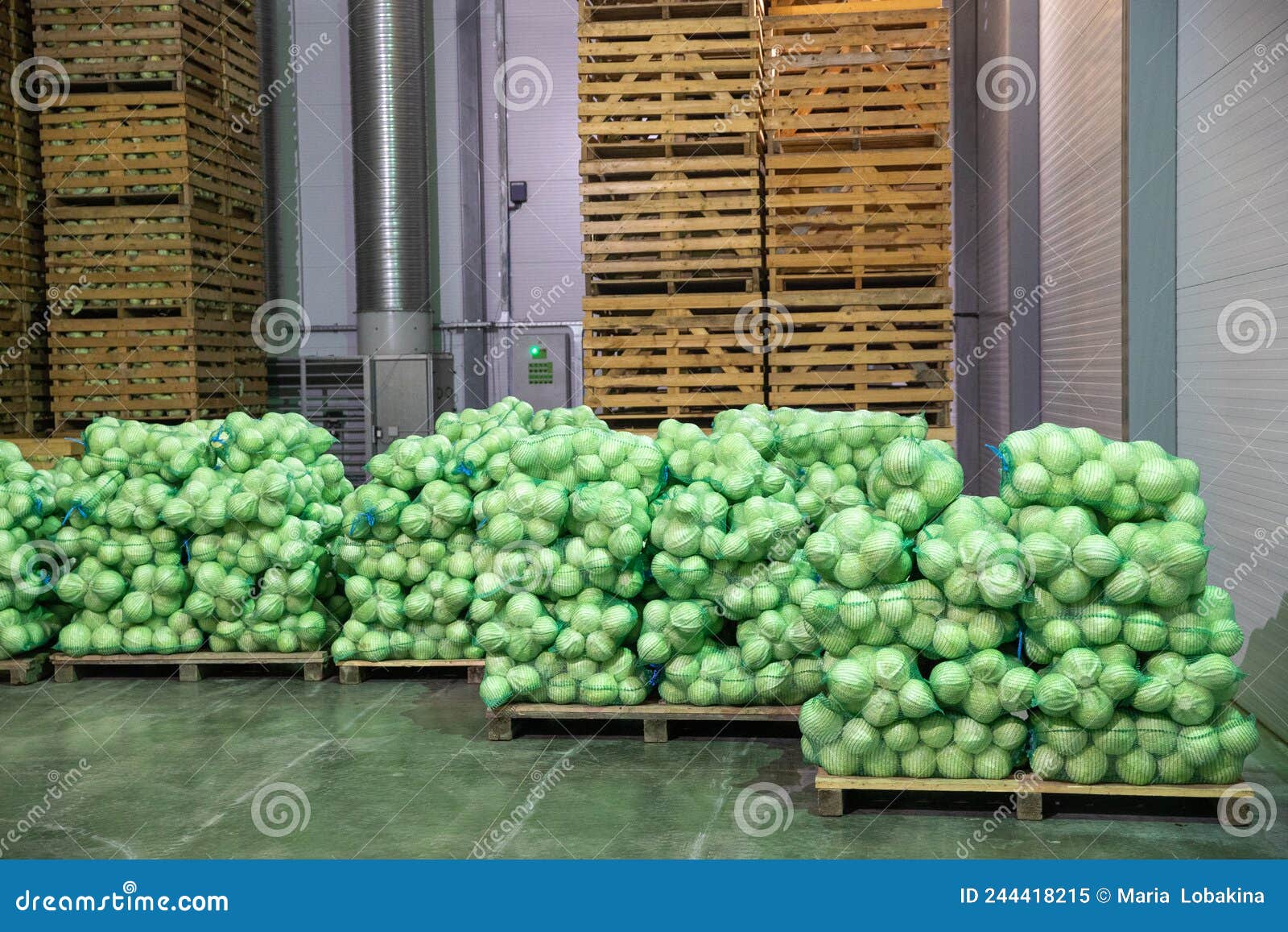 Modern Logistics Center Platform for One-time Storage Stock Image ...