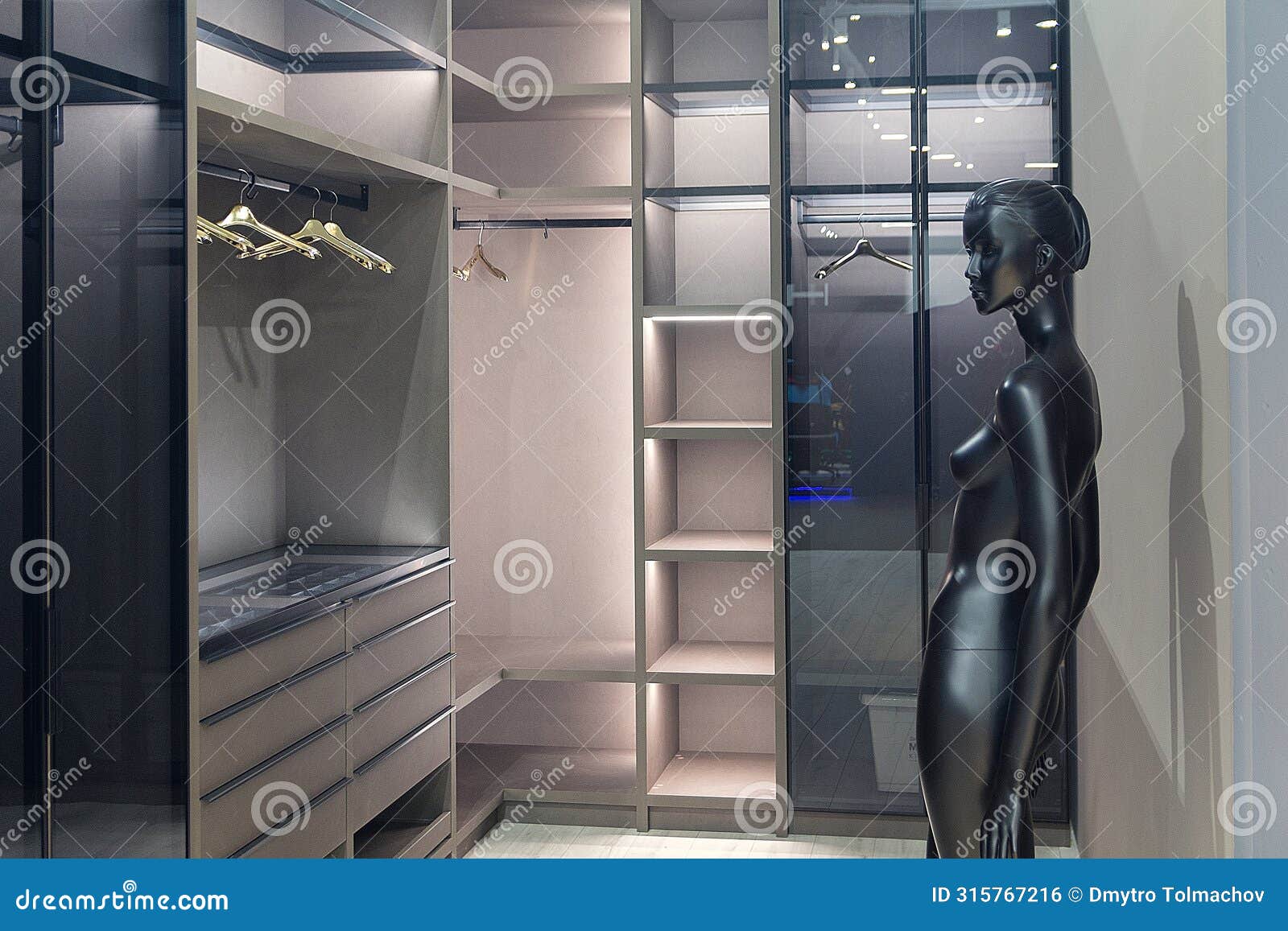 Modern Luxury Wardrobe and Female Mannequin Stock Photo - Image of ...