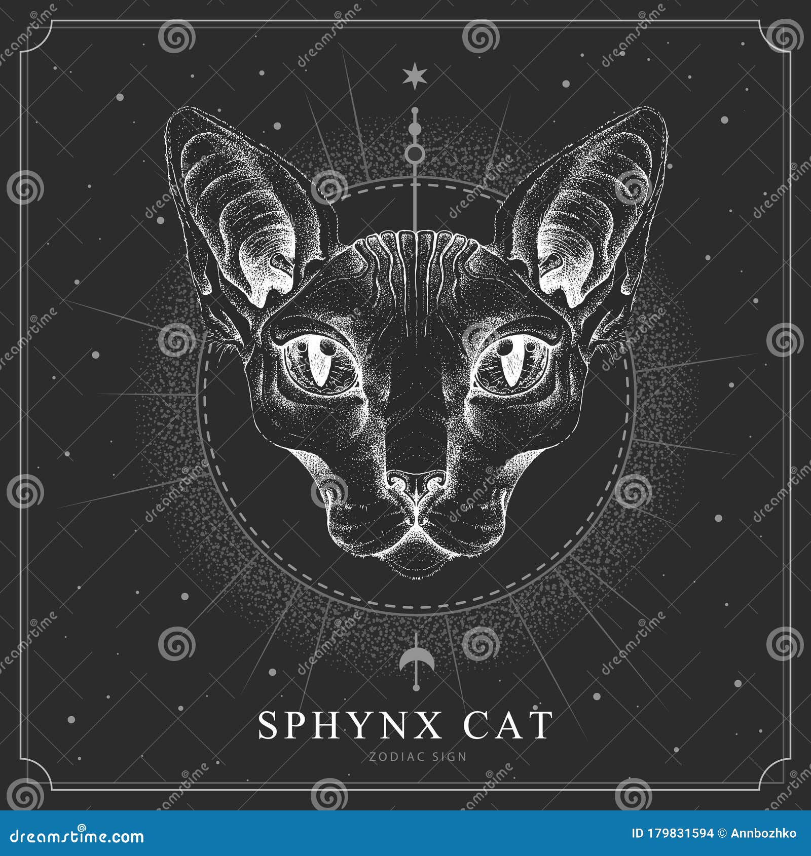 Modern Magic Witchcraft Card With Sphynx Cat. Realistic Hand Drawing ...