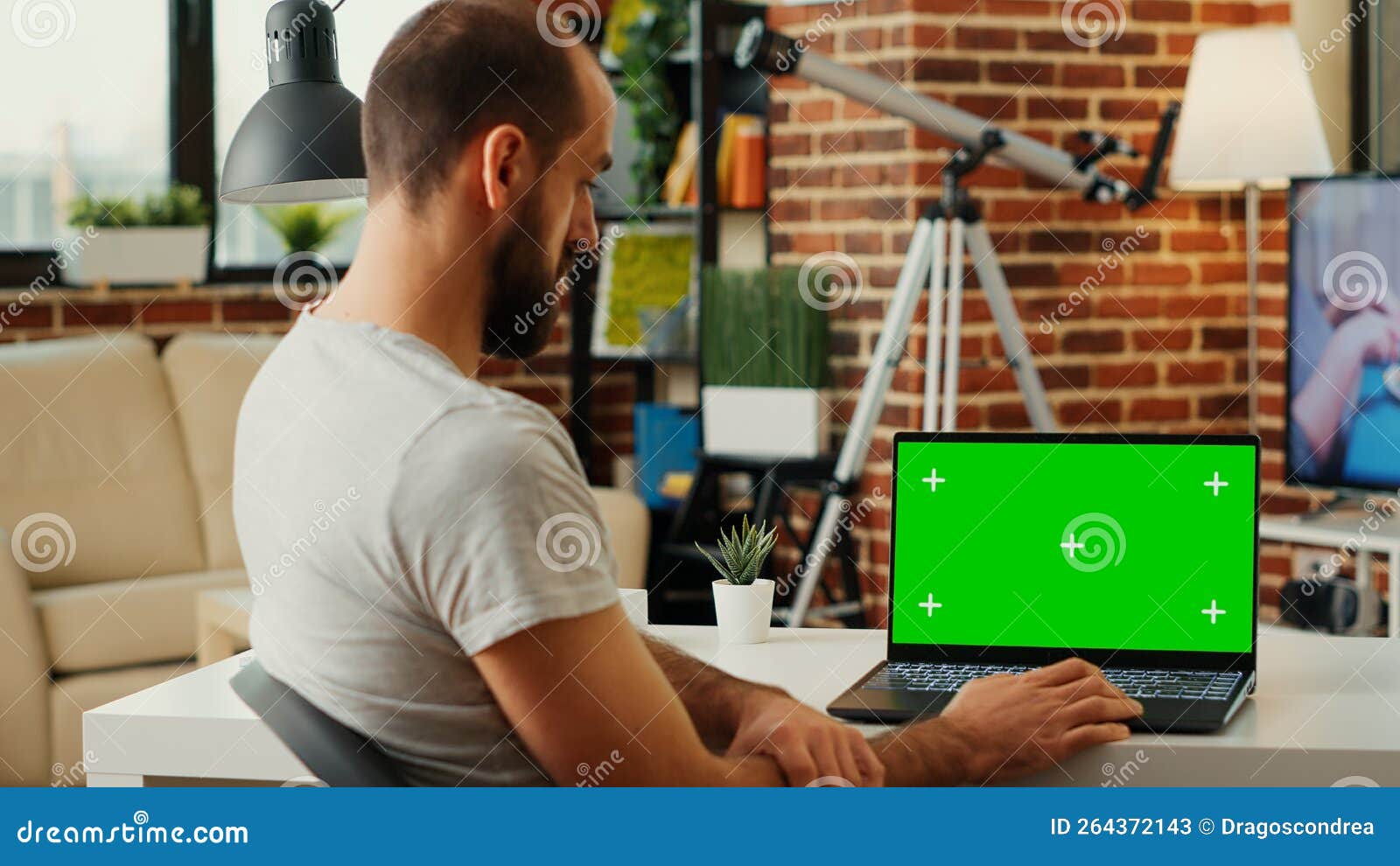 Modern Manager Looking at Laptop with Greenscreen Display Stock Image ...