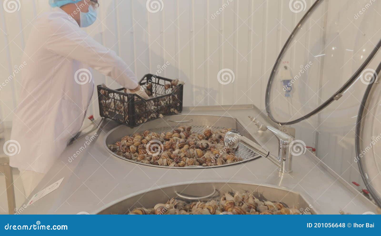 The Modern Method of Snail Extraction of Mucin. Snails in Cosmetology ...